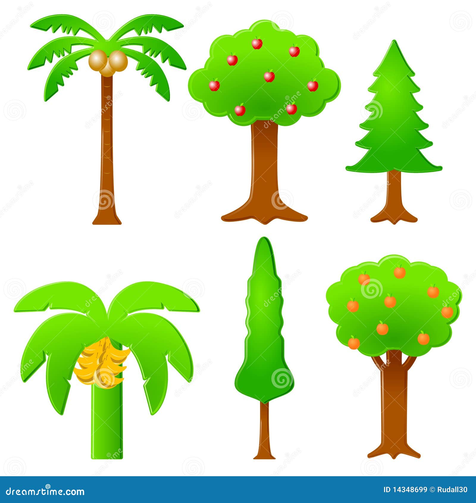 Casuarina Cartoons, Illustrations & Vector Stock Images - 18 Pictures ...