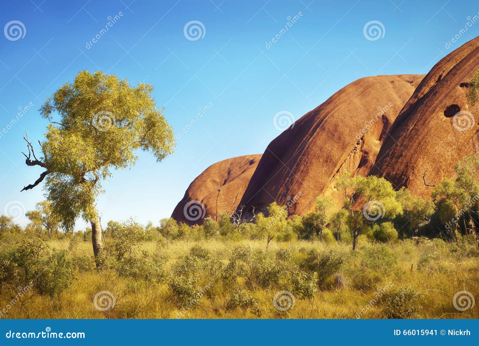 Iconic Uluru in Australia S Outback Editorial Photo - Image of ...