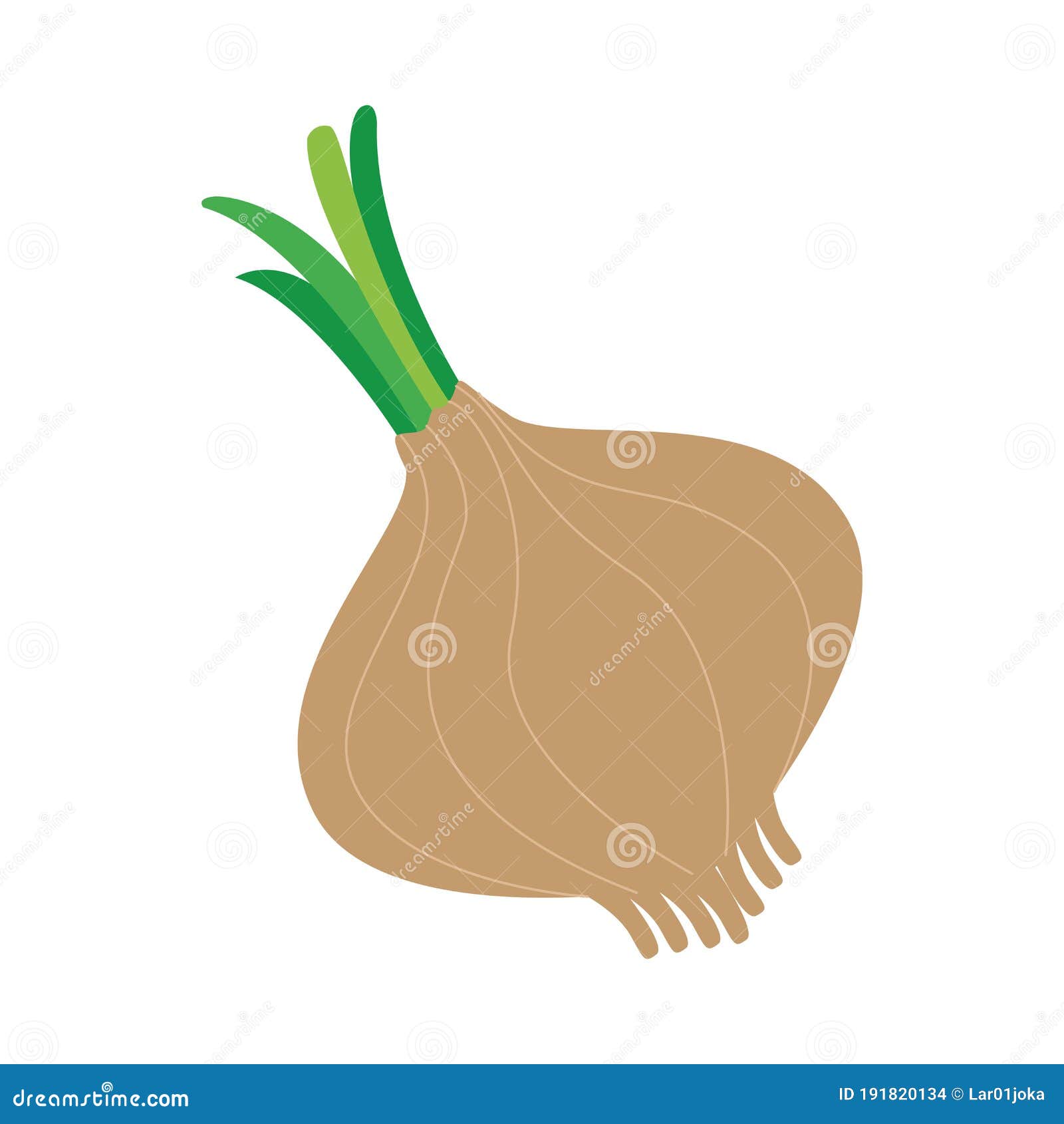 Icono De Cebolla. Icono Vegetal Ilustración del Vector - Ilustración de ...