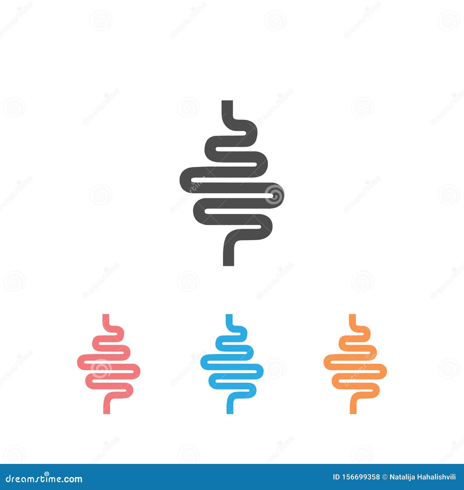 Icono Intestinal Del Conjunto De La Zona En Blanco. Vector Ejido-pasa ...