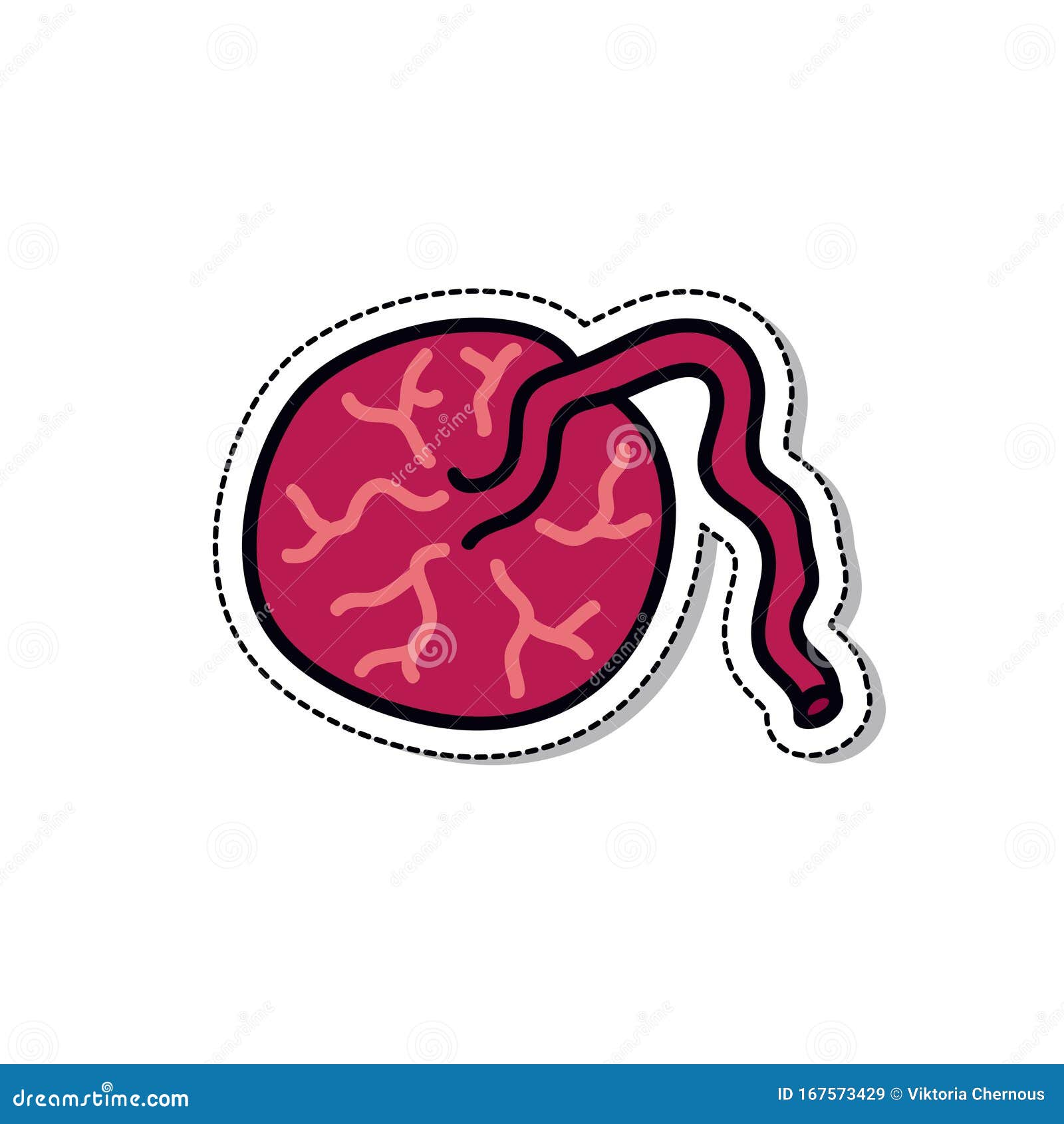 Icono De Doodle De Placenta, Ilustración Vectorial Stock de ilustración ...