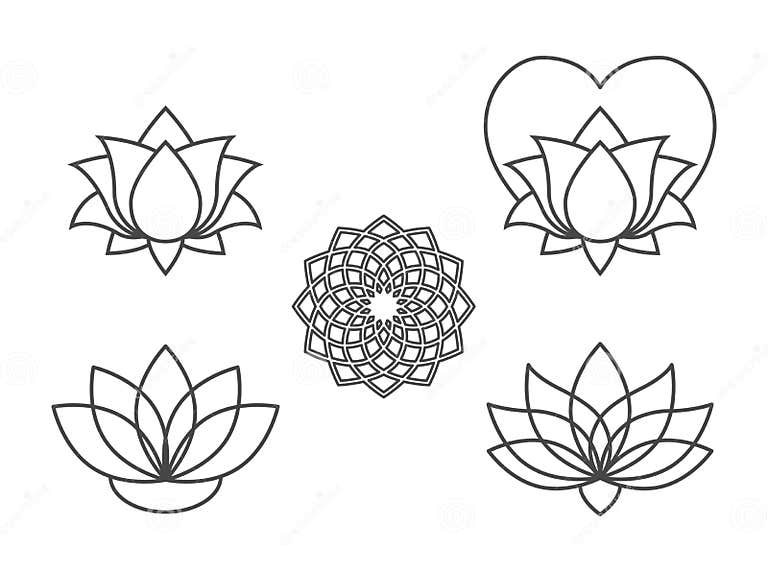 Icono De Esquema De Flor De Loto Ilustración del Vector - Ilustración ... Icono De Esquema De Flor De Loto Ilustración del Vector - Ilustración ...