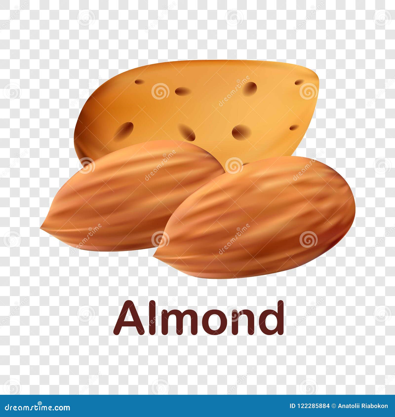 Icono De La Almendra, Estilo Realista Ilustración del Vector ...