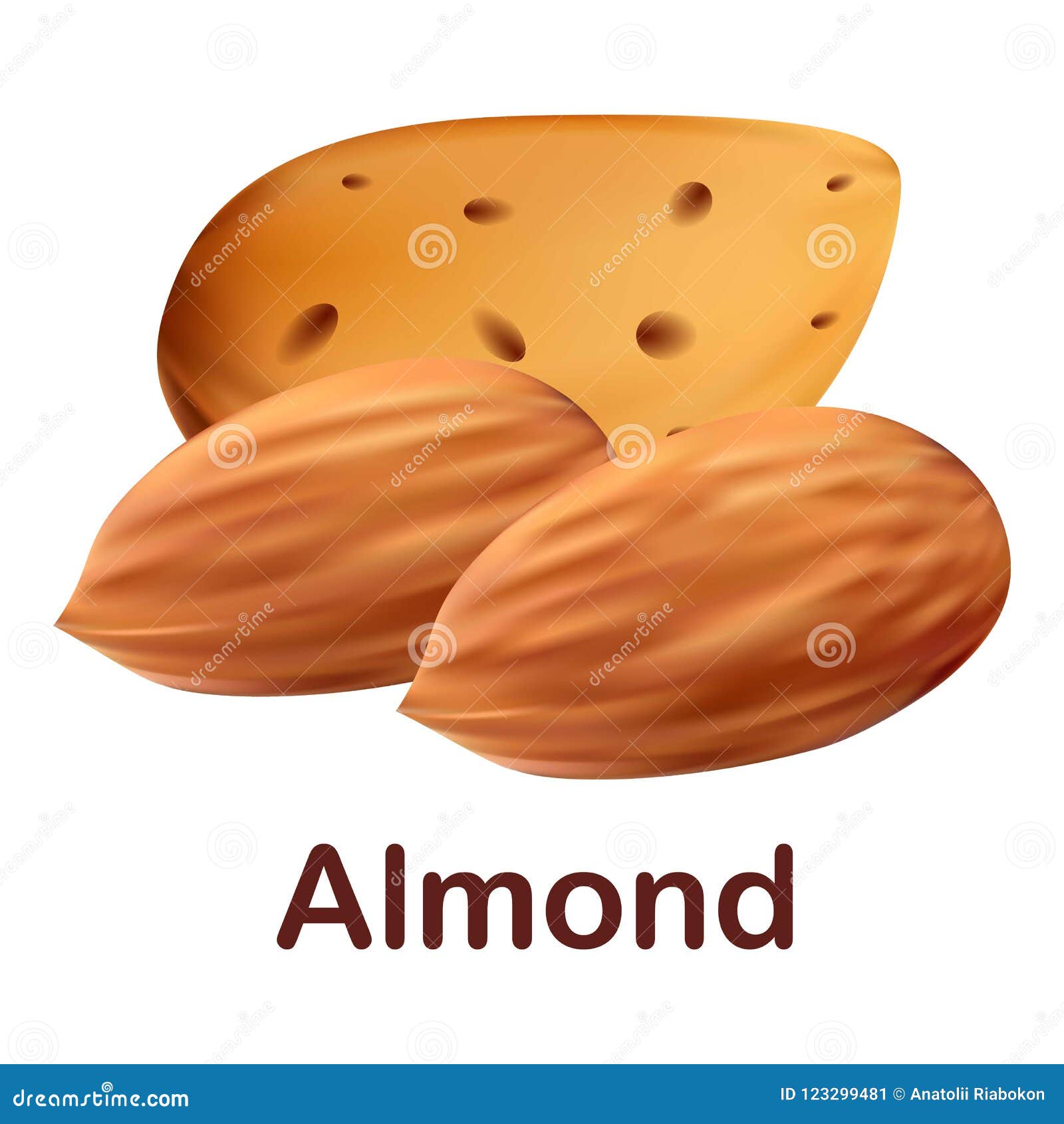 Icono De La Almendra, Estilo Realista Stock de ilustración ...