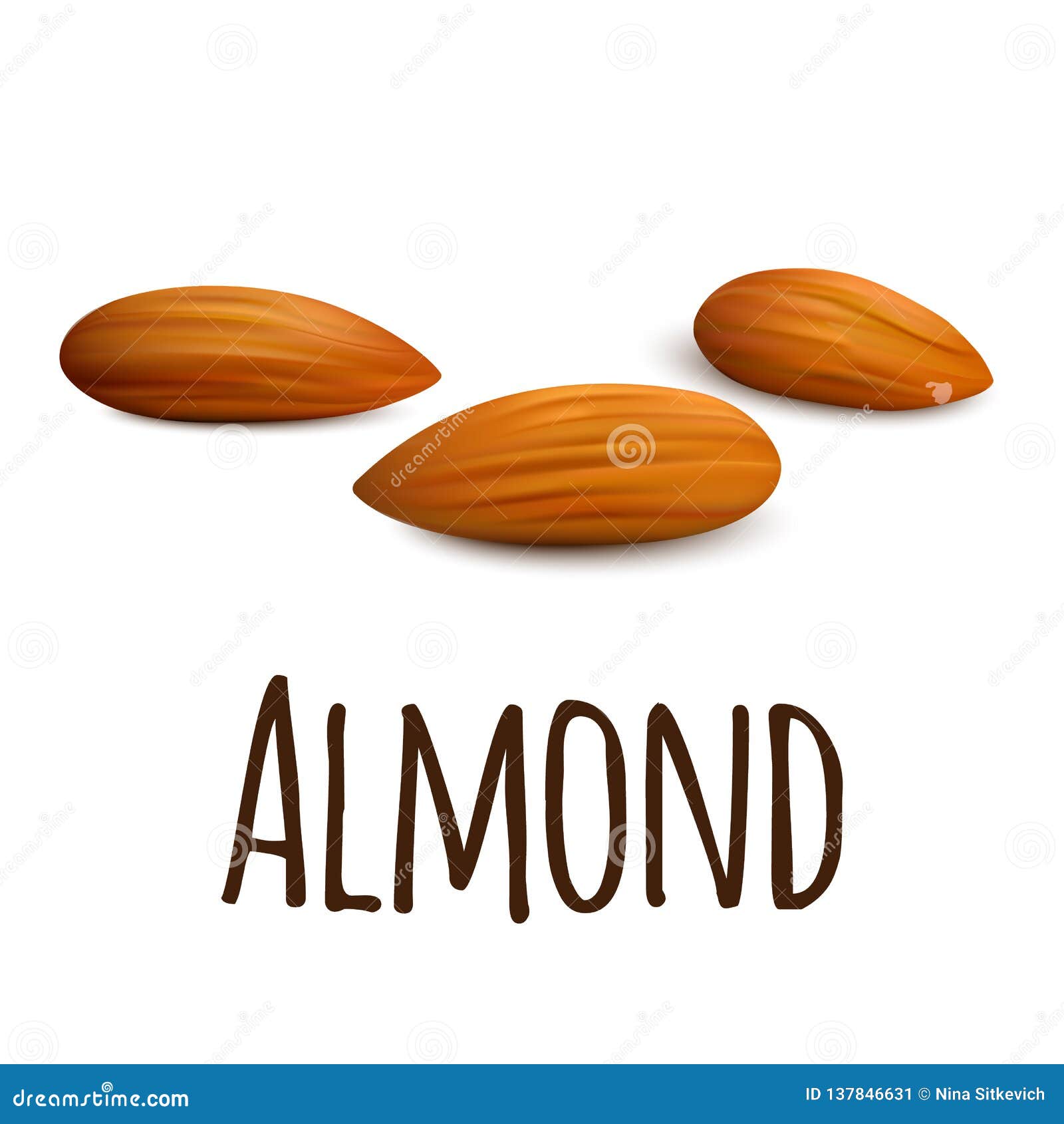 Icono De La Almendra, Estilo Realista Ilustración del Vector ...