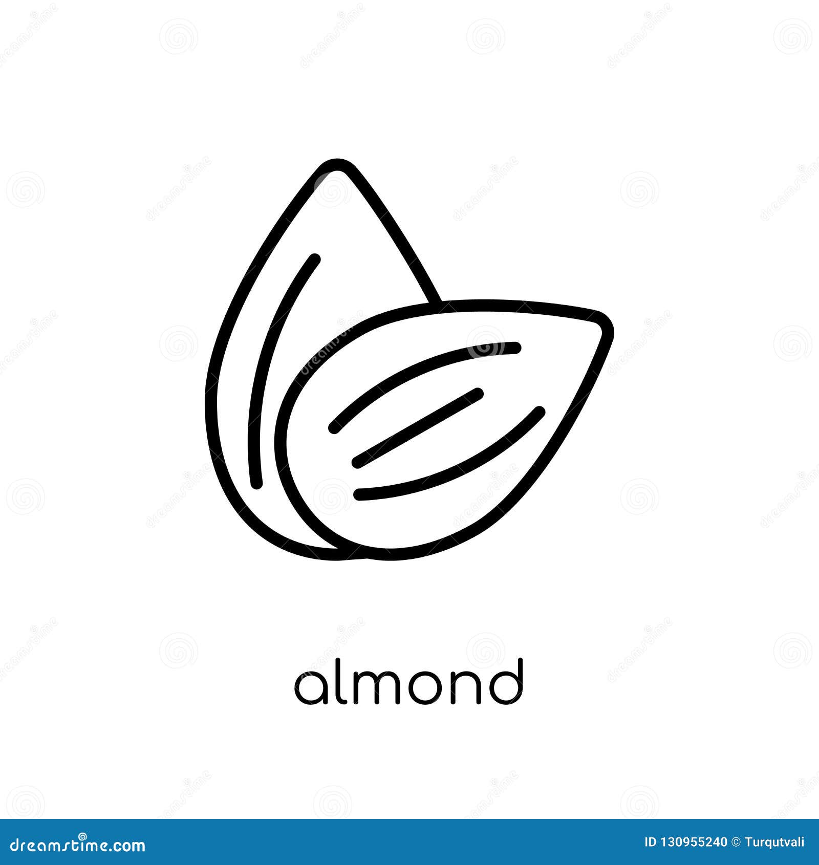 Icono De La Almendra Icono Linear Plano Moderno De Moda De La Almendra ...