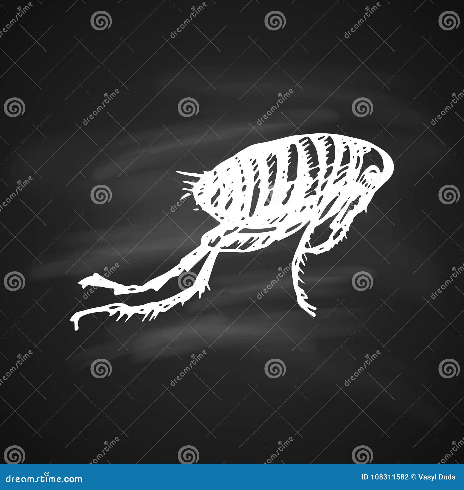 Icono de la pulga ilustración del vector. Ilustración de chupasangre ...