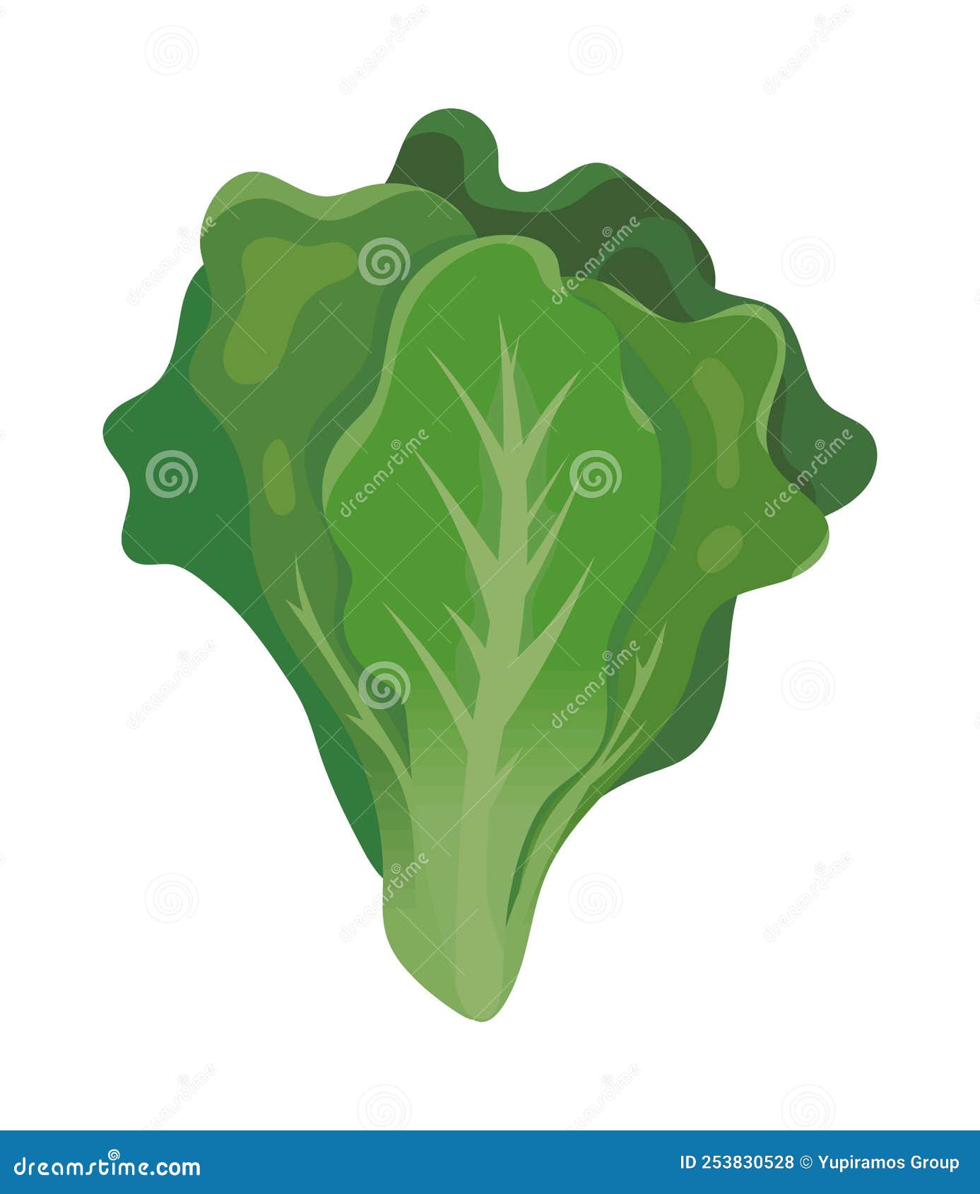 Icono de lechuga fresca ilustración del vector. Ilustración de alimento ...