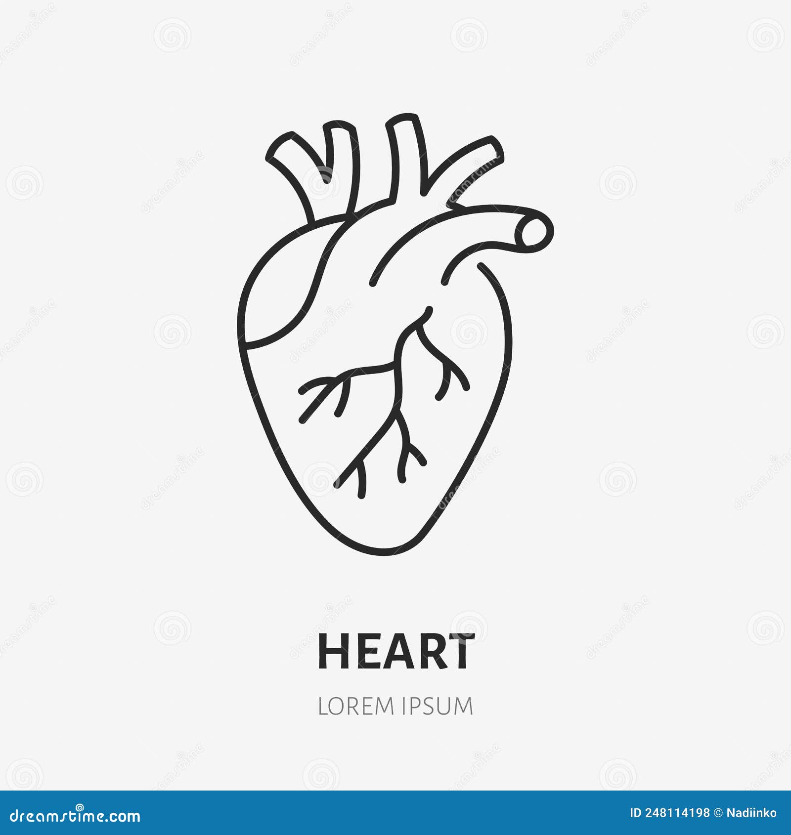Icono De Línea De Garabato Cardíaco Ilustración De Un órgano Interno
