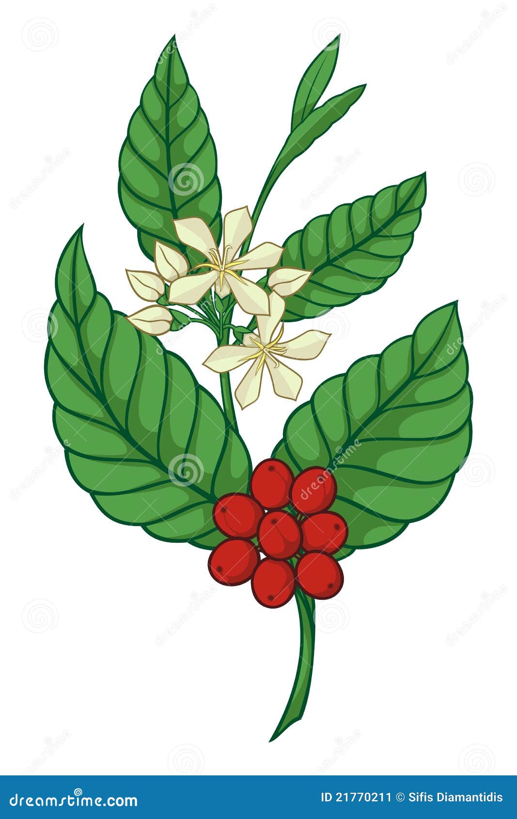 Icono del cafeto ilustración del vector. Ilustración de cosecha - 21770211