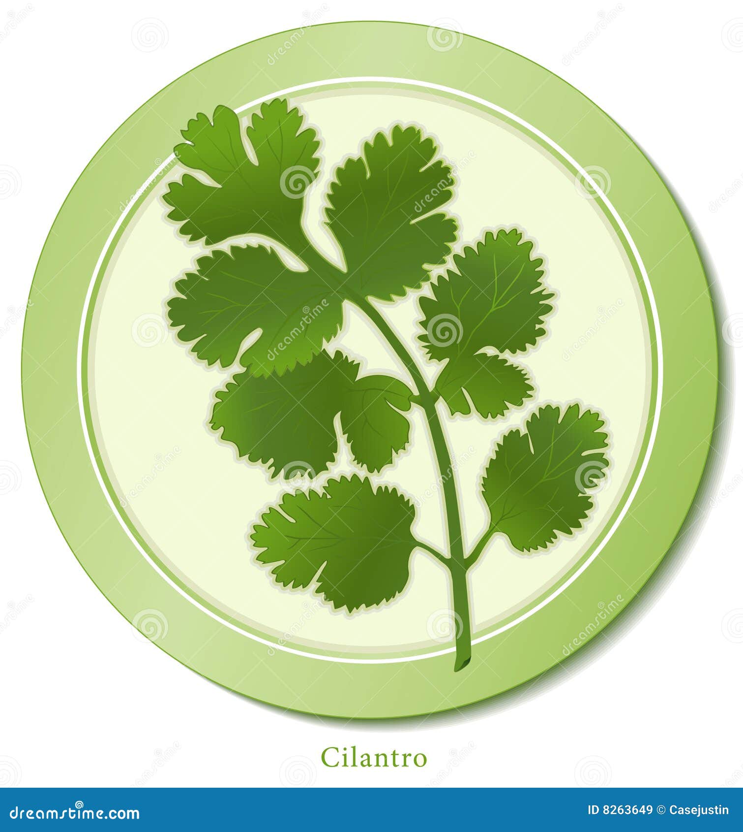 Icono del Cilantro de +EPS ilustración del vector. Ilustración de medio ...