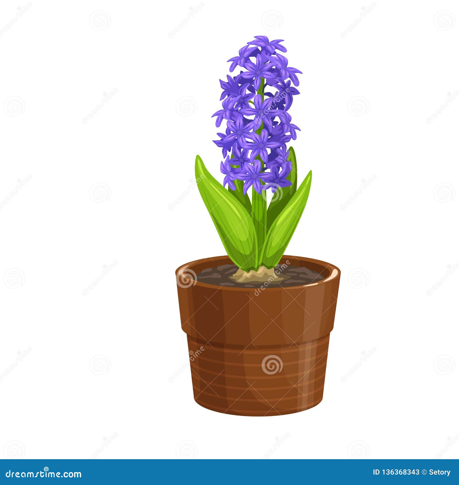 Icono del jacinto ilustración del vector. Ilustración de jacinto ...