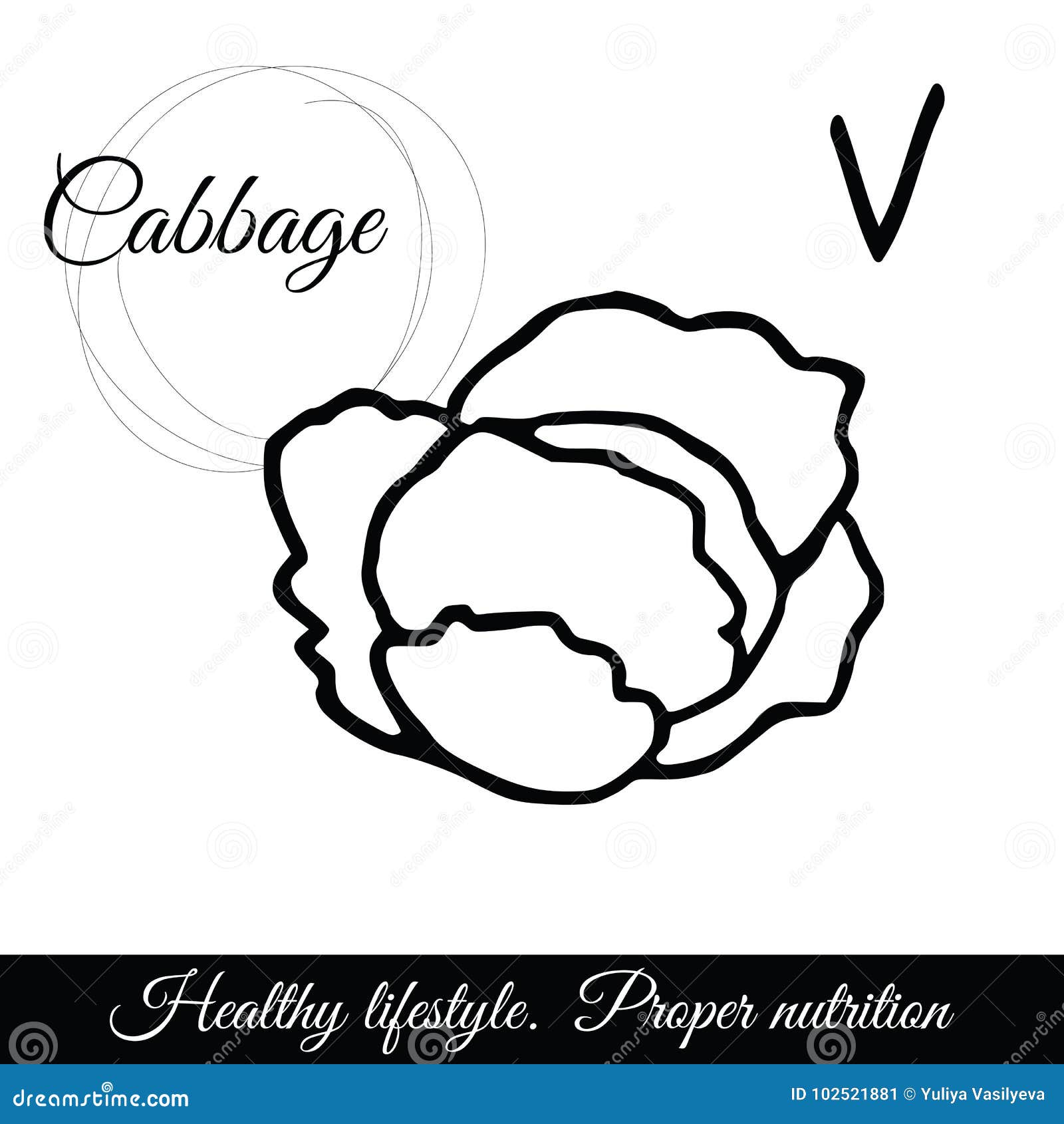 Icono Del Vector De La Col Del Esquema Ilustración del Vector ...