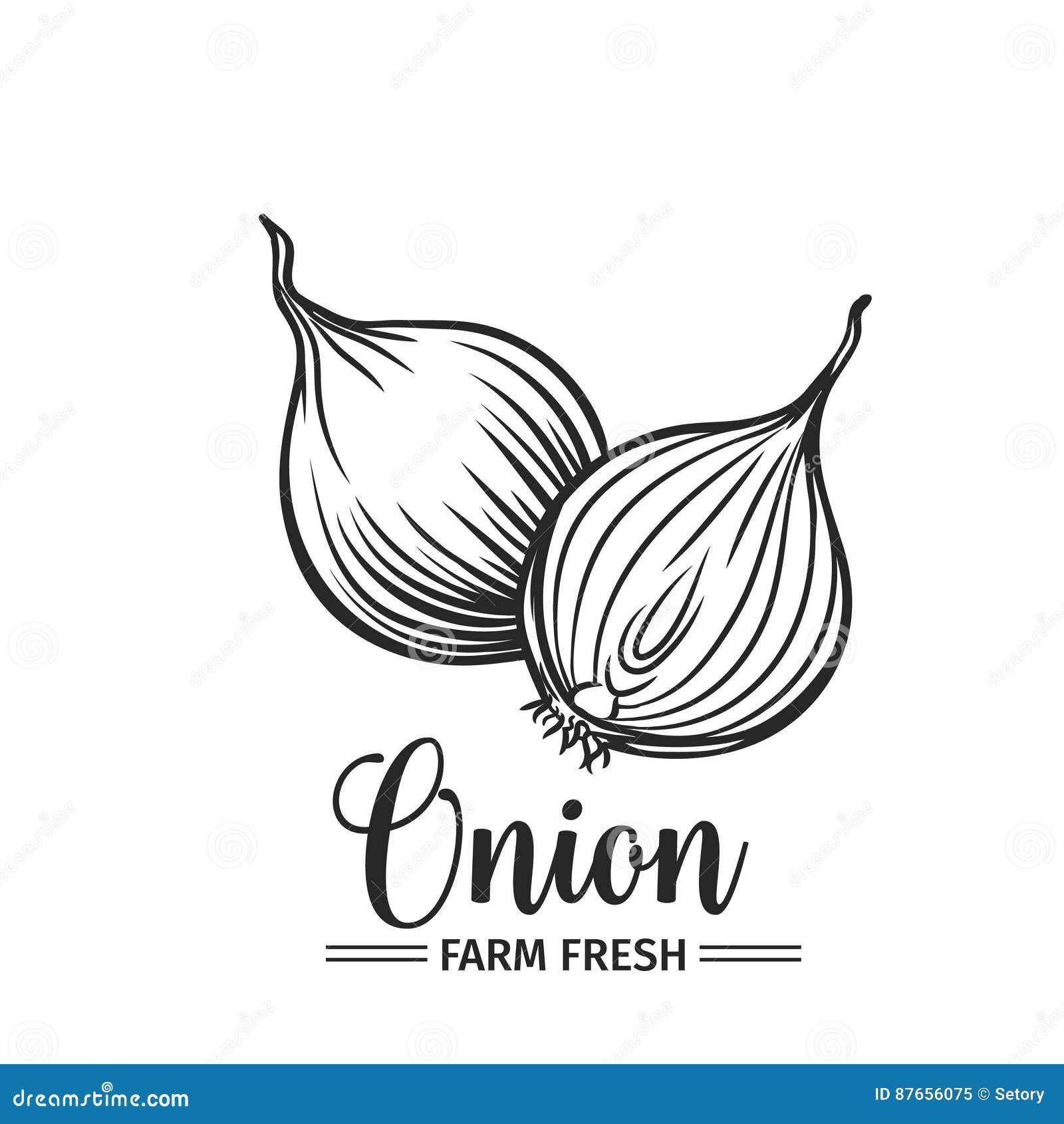 Icono Dibujado Mano De La Cebolla Ilustración del Vector - Ilustración ...