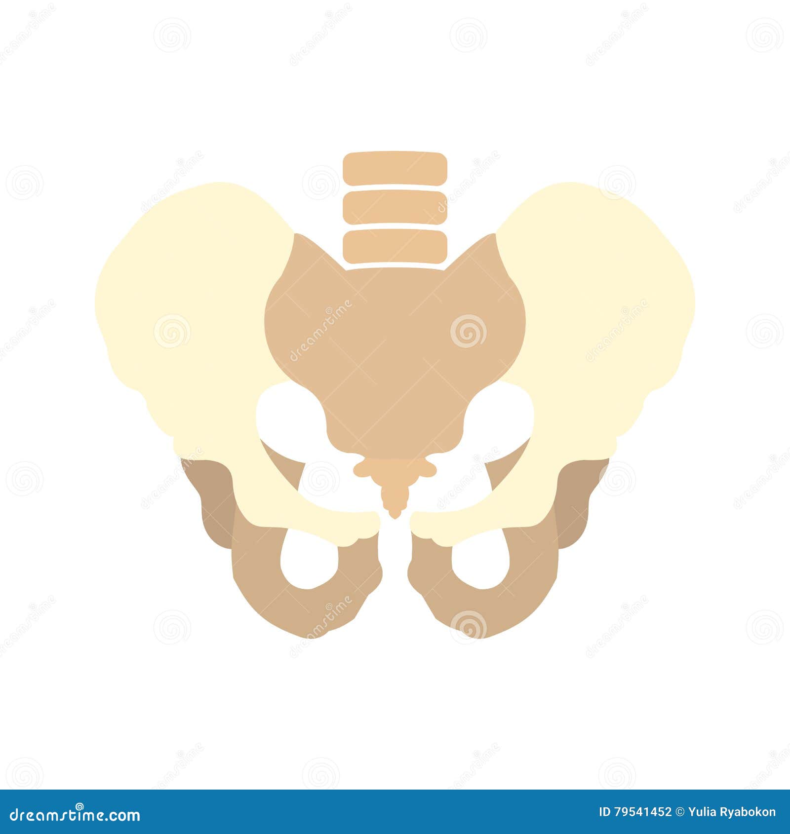 Icono humano de la pelvis ilustración del vector. Ilustración de lumbar ...