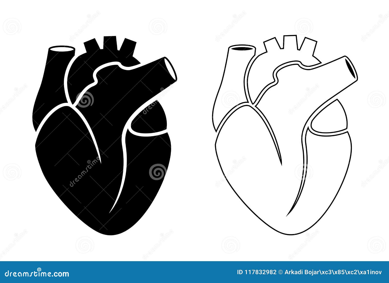 Icono humano del corazón ilustración del vector. Ilustración de icono ...