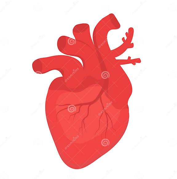 Icono Humano Del Corazón Estilo Plano Símbolo De Los órganos Internos