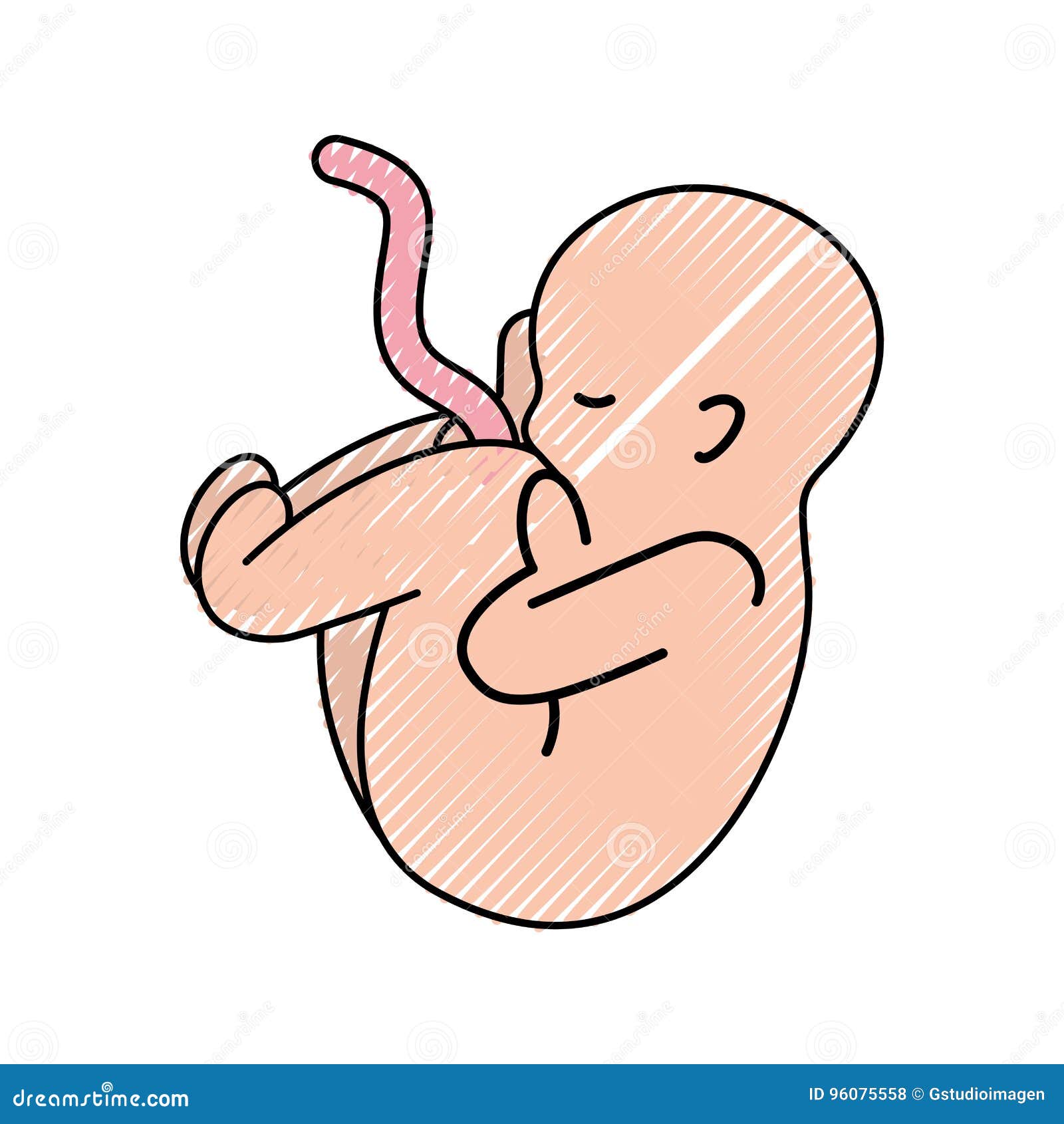 Icono humano del feto ilustración del vector. Ilustración de unborn ...