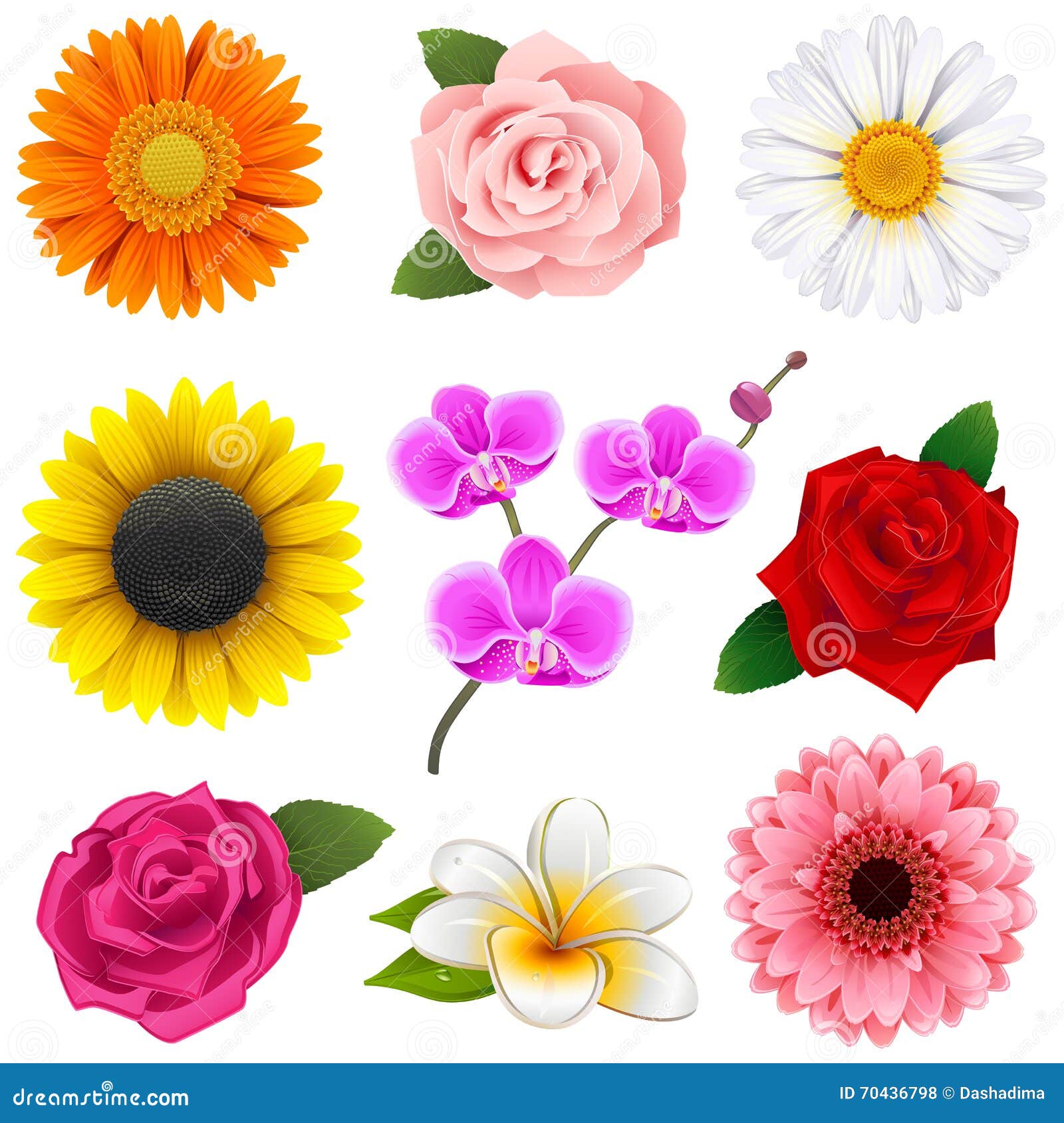 Iconos De La Flor Del Vector Ilustración del Vector - Ilustración de ...