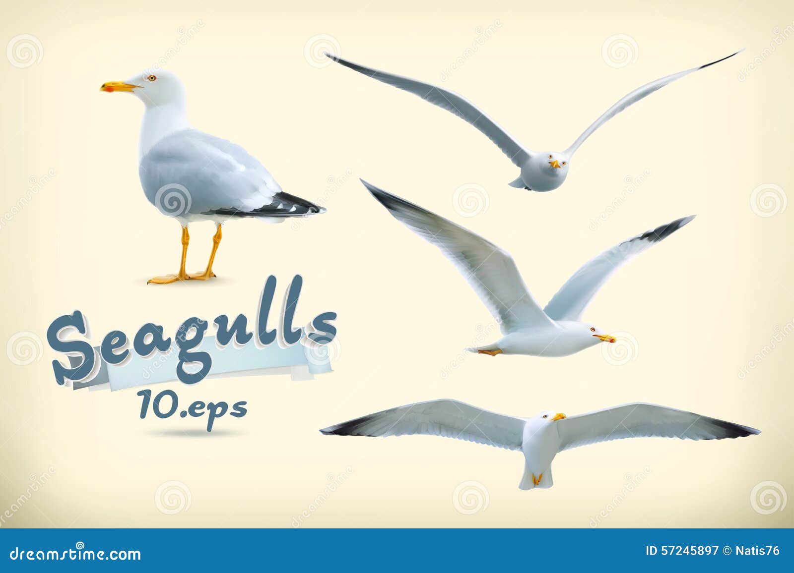 Iconos Del Vector De Las Gaviotas Ilustración del Vector - Ilustración ...