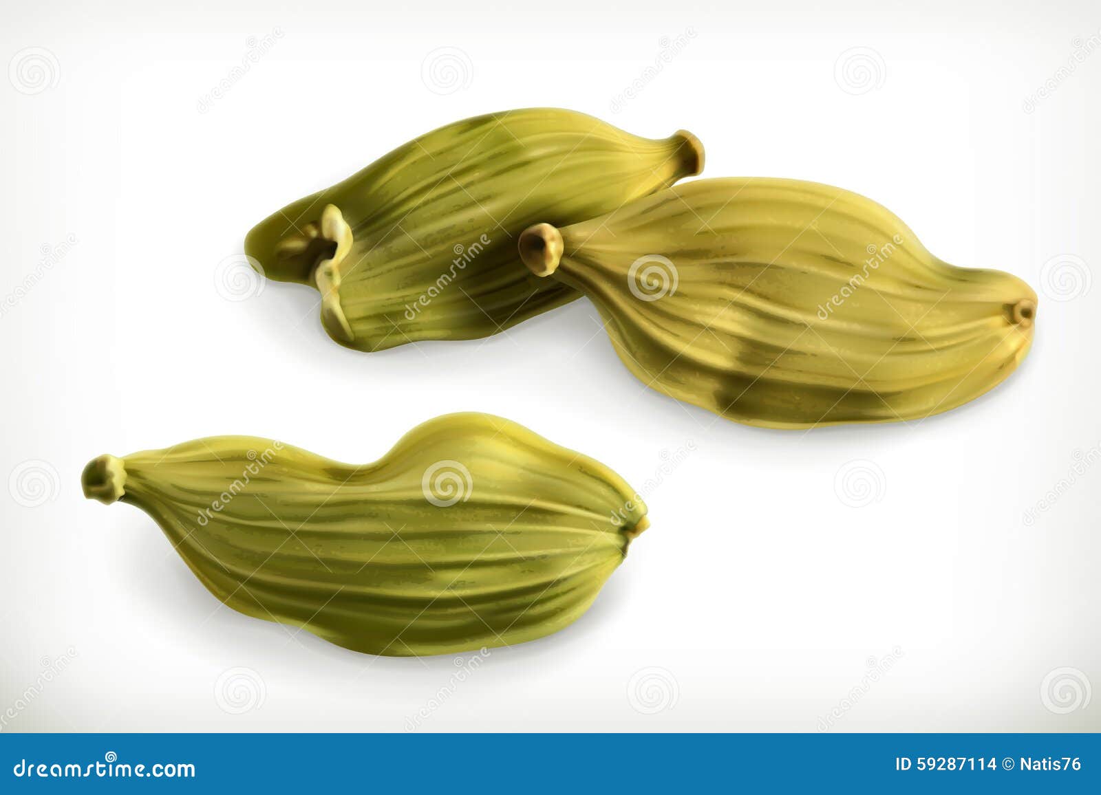 Iconos Del Vector Del Cardamomo Ilustración del Vector - Ilustración de ...