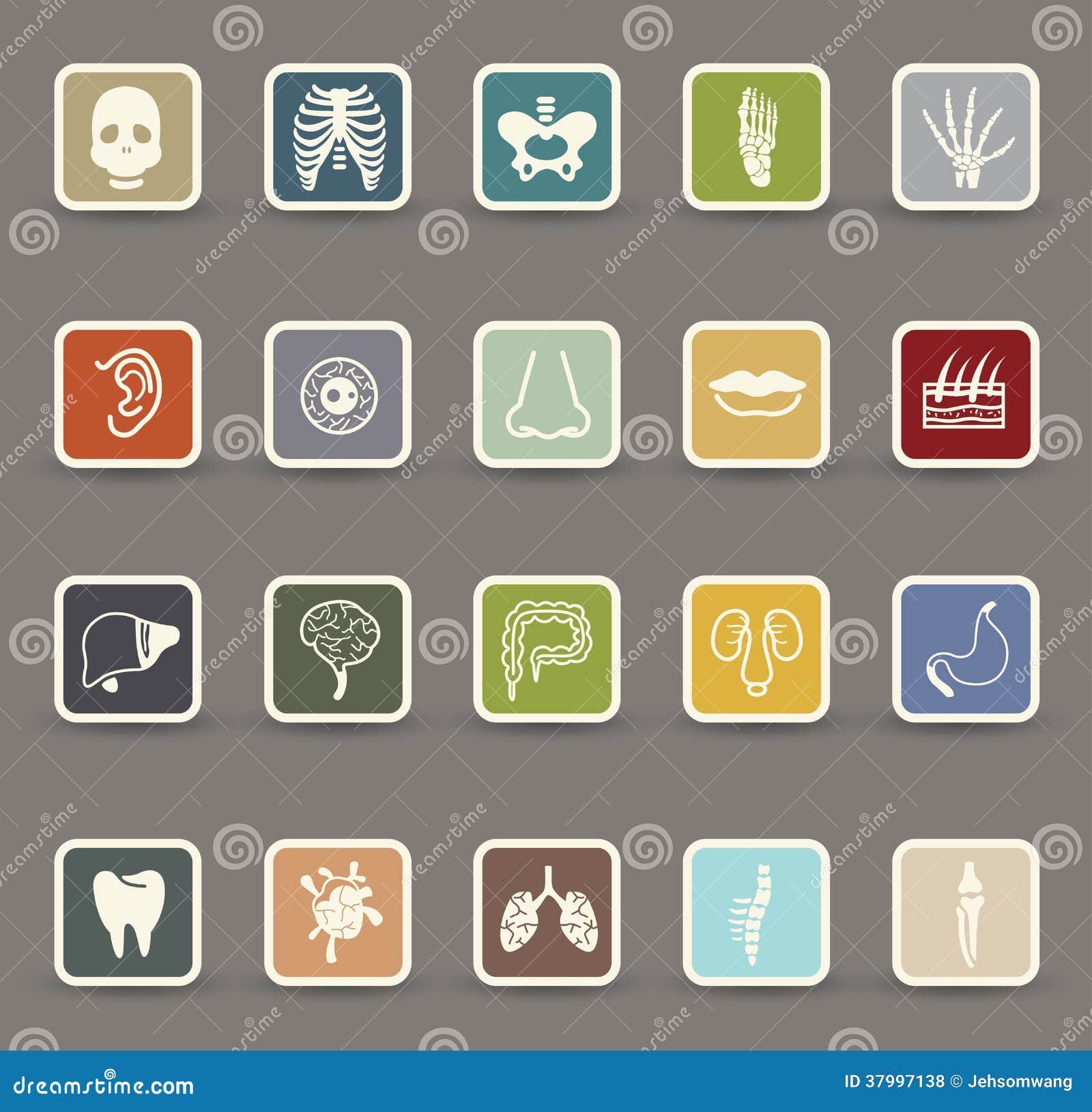 Iconos Humanos De La Anatomía Ilustración del Vector - Ilustración de ...