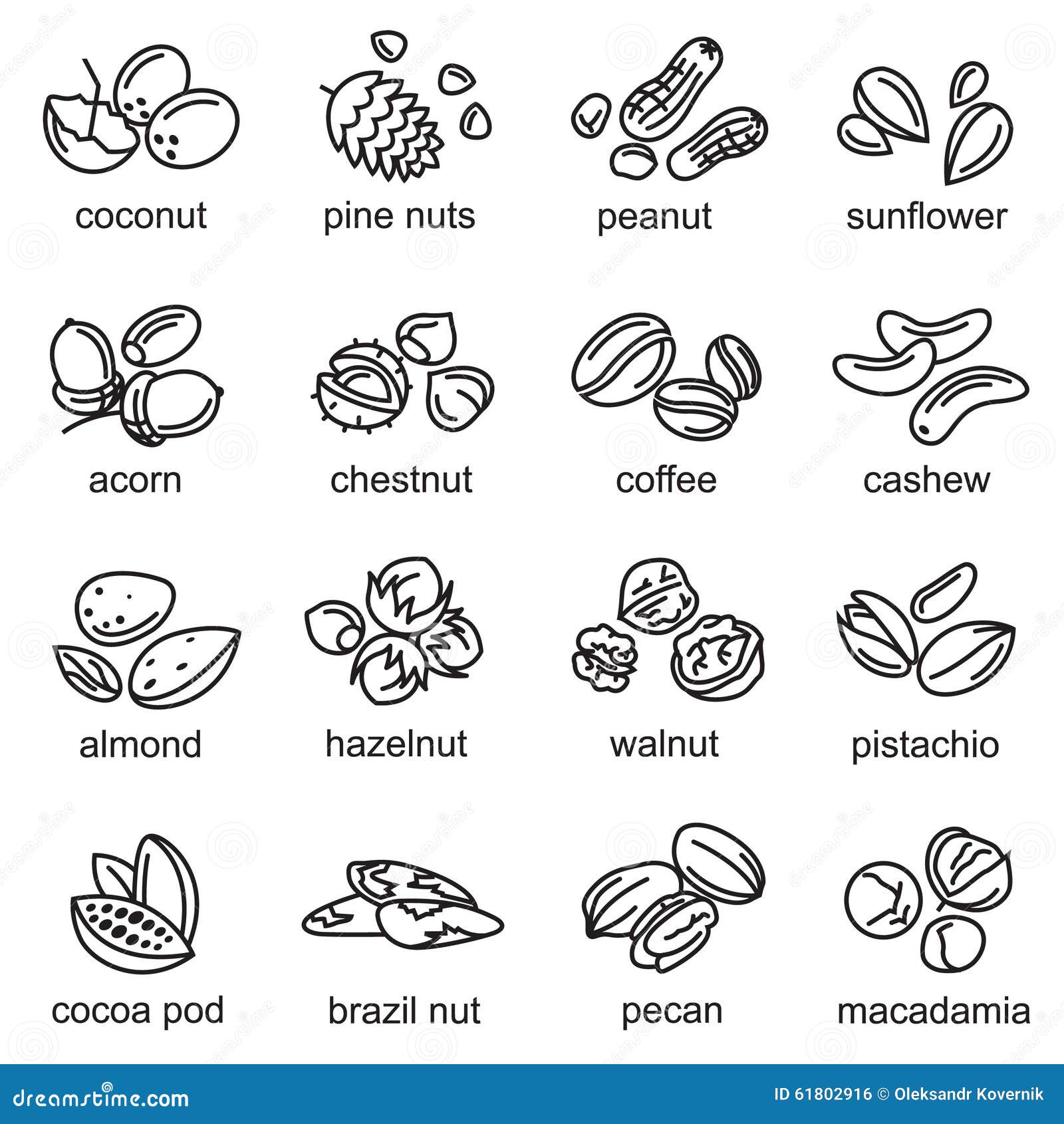 Iconos Nuts ilustración del vector. Ilustración de sano - 61802916