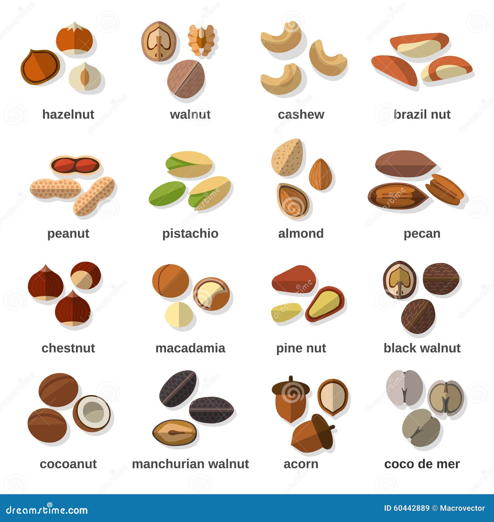 Iconos planos Nuts fijados ilustración del vector. Ilustración de salud ...