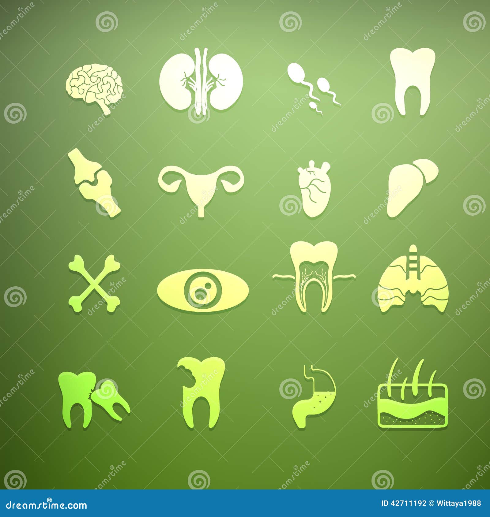 Icons of Internal Human Retina Vector Stock Vector - Illustration of ...