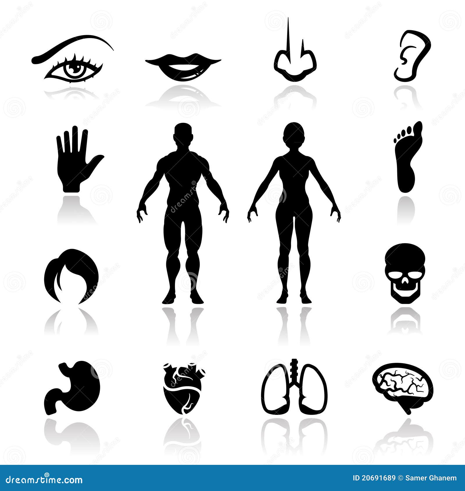 Icons set human organs stock illustration. Illustration of stylized ...