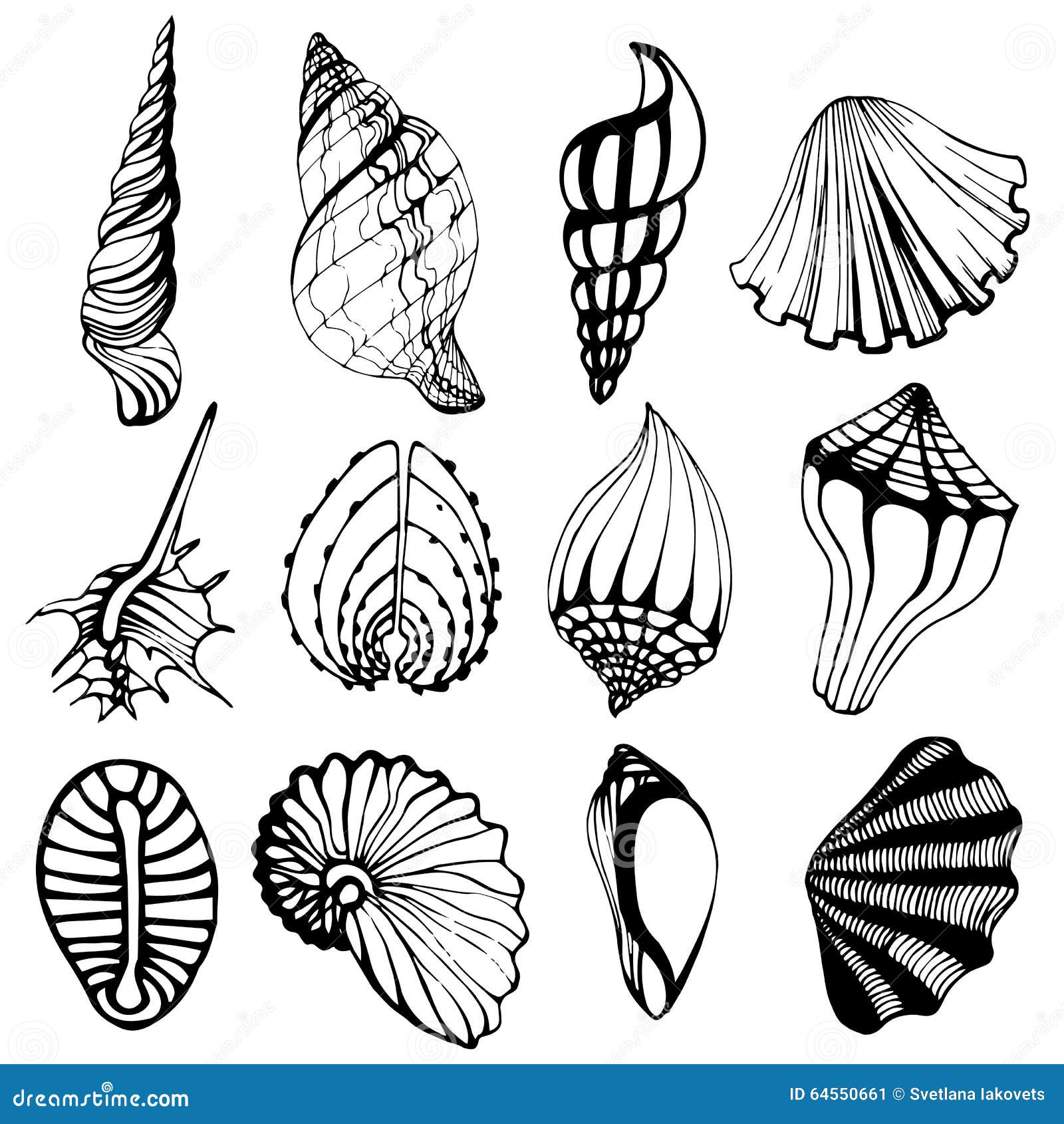 Icons shells stock vector. Illustration of neven, ocean - 64550661