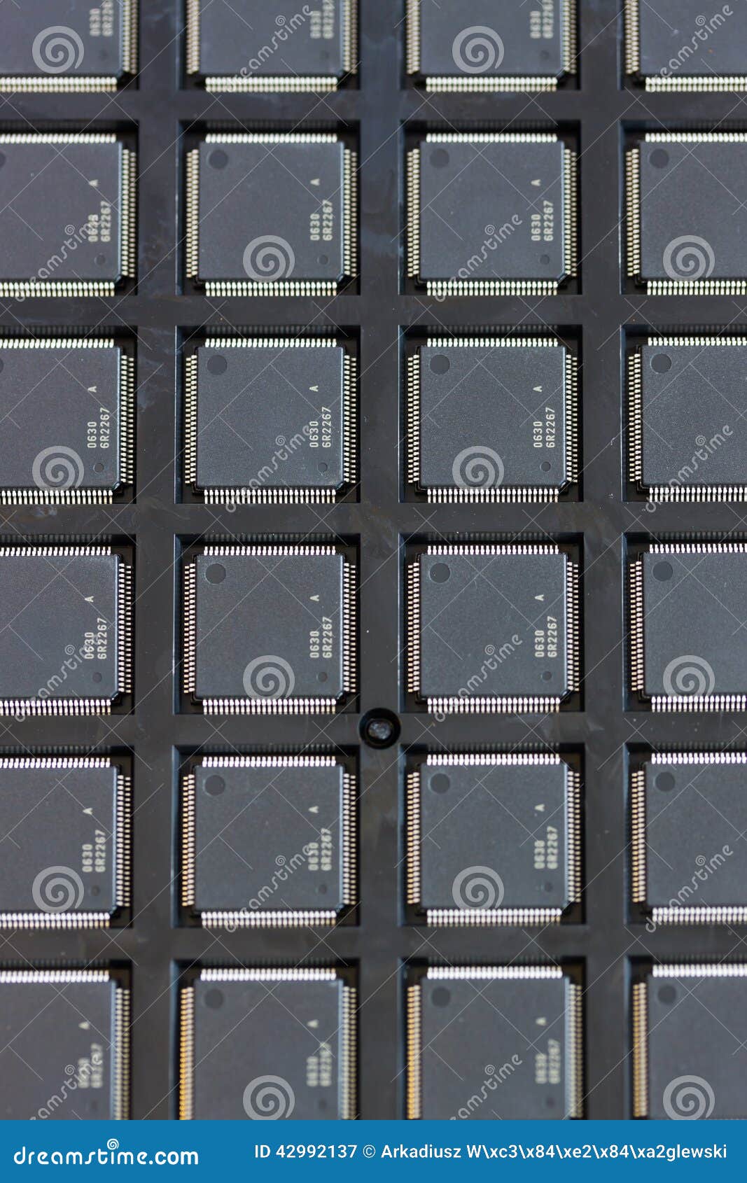 ICs on the tray stock image. Image of board, microcontrollers - 42992137