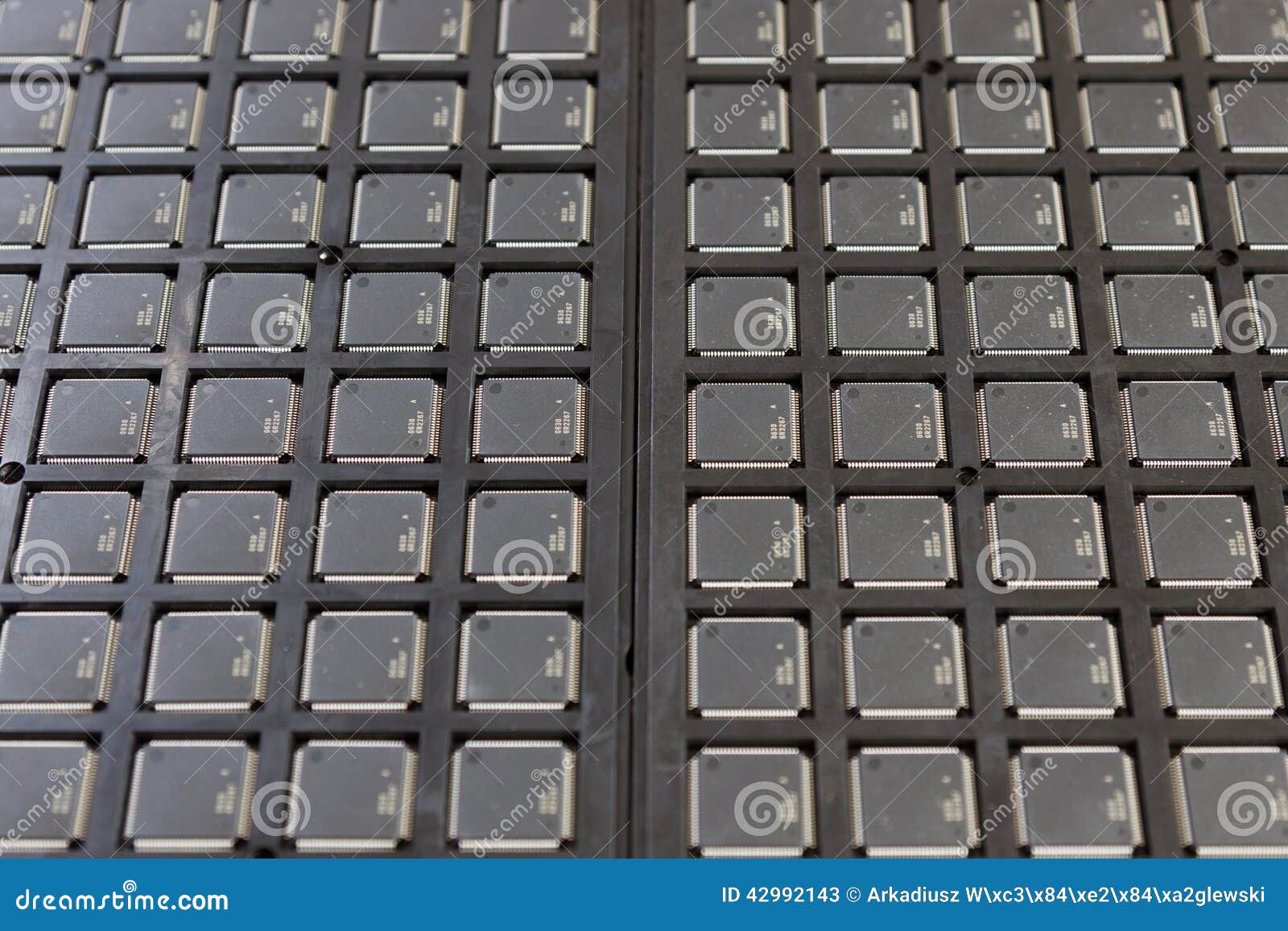 ICs on the tray stock image. Image of architecture, parts - 42992143