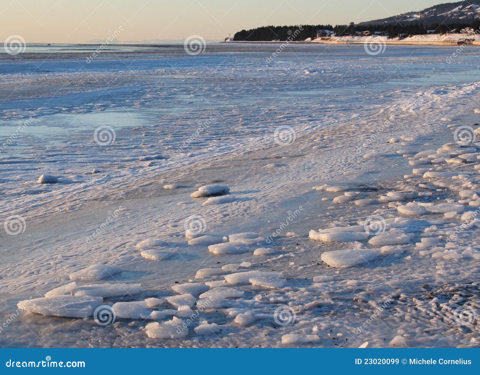 Icy Alaskan beach stock image. Image of alaska, homer - 23020099