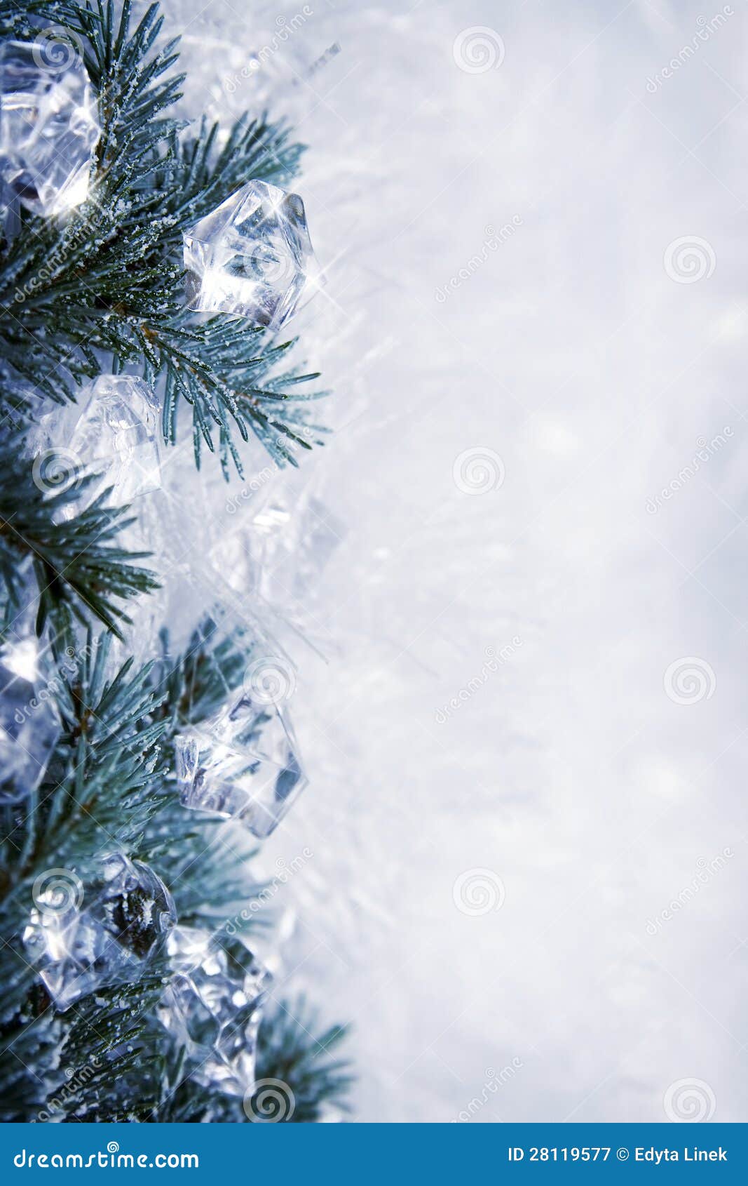Icy background stock image. Image of holidays, branch - 28119577