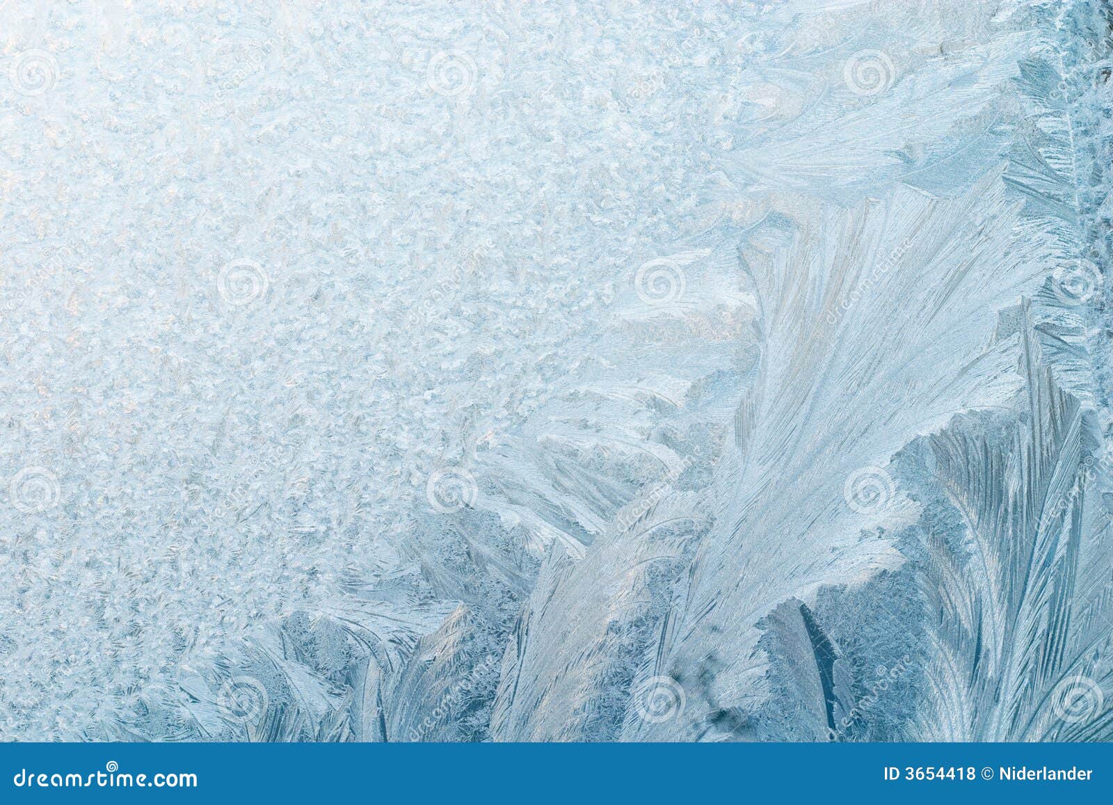 Icy Covered Windows 3d Wallpaper