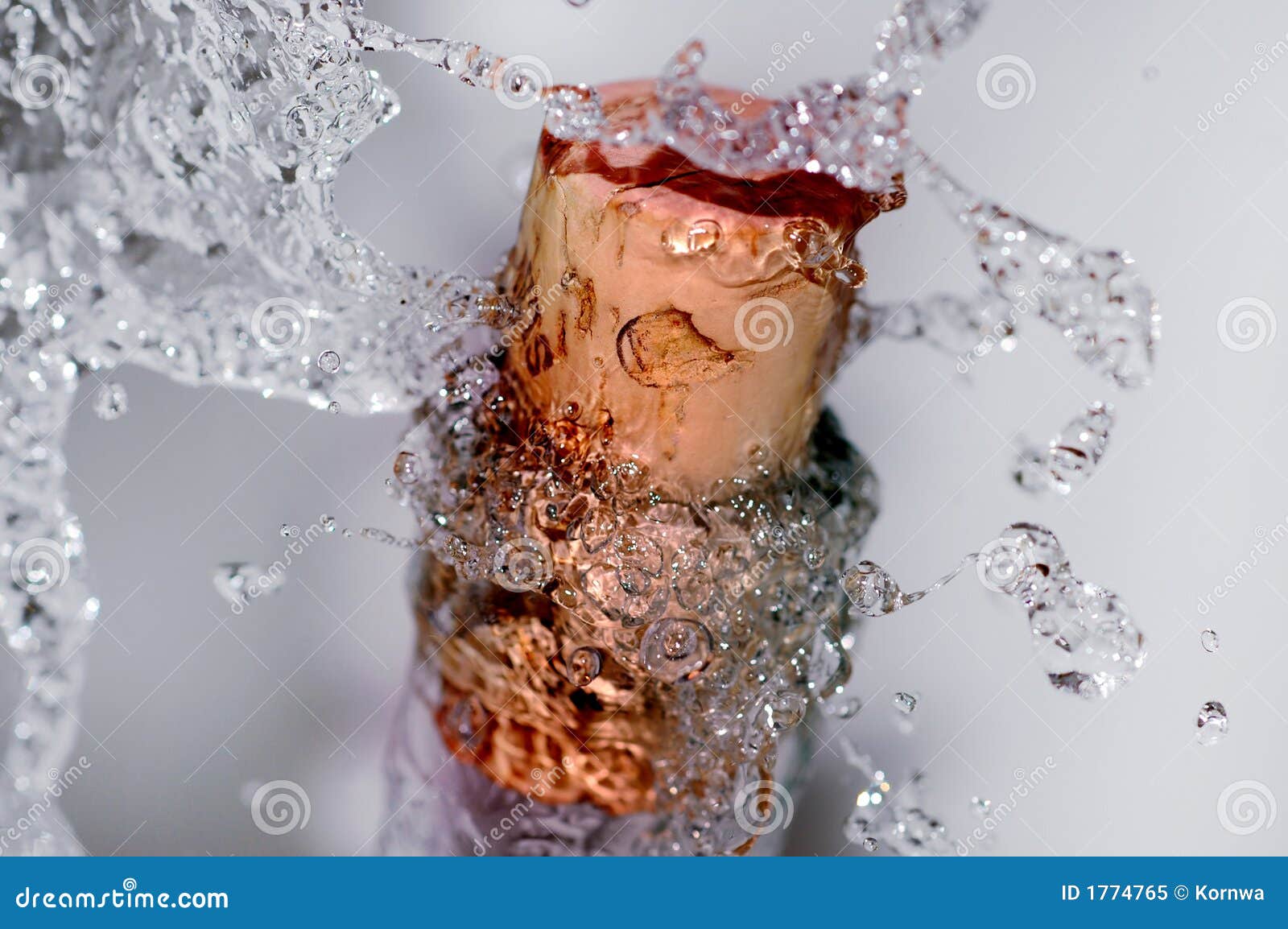 Icy Bottle of Wine stock image. Image of concept, alcohol - 1774765
