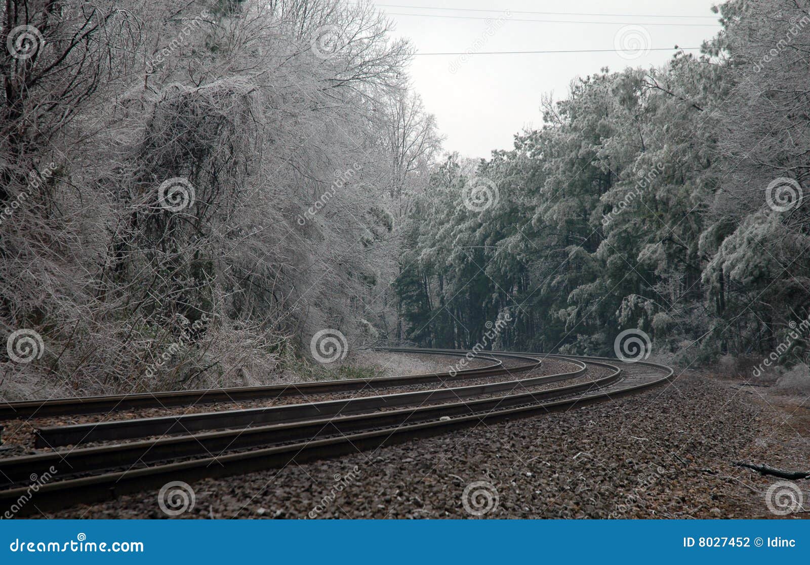 Icy Curve stock photo. Image of frozen, branches, travel - 8027452