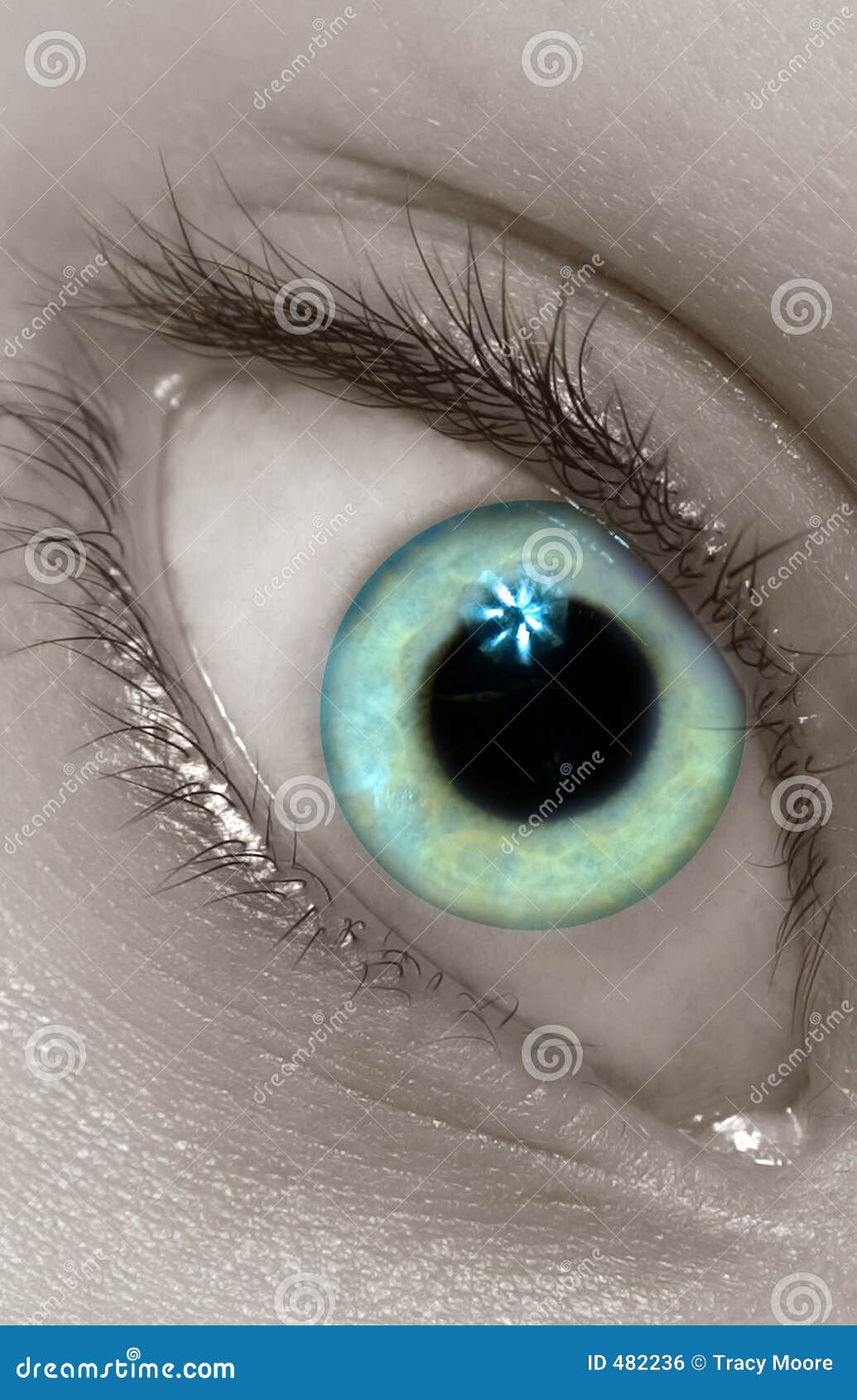 Icy Eye stock photo. Image of white, colors, body, concept - 482236