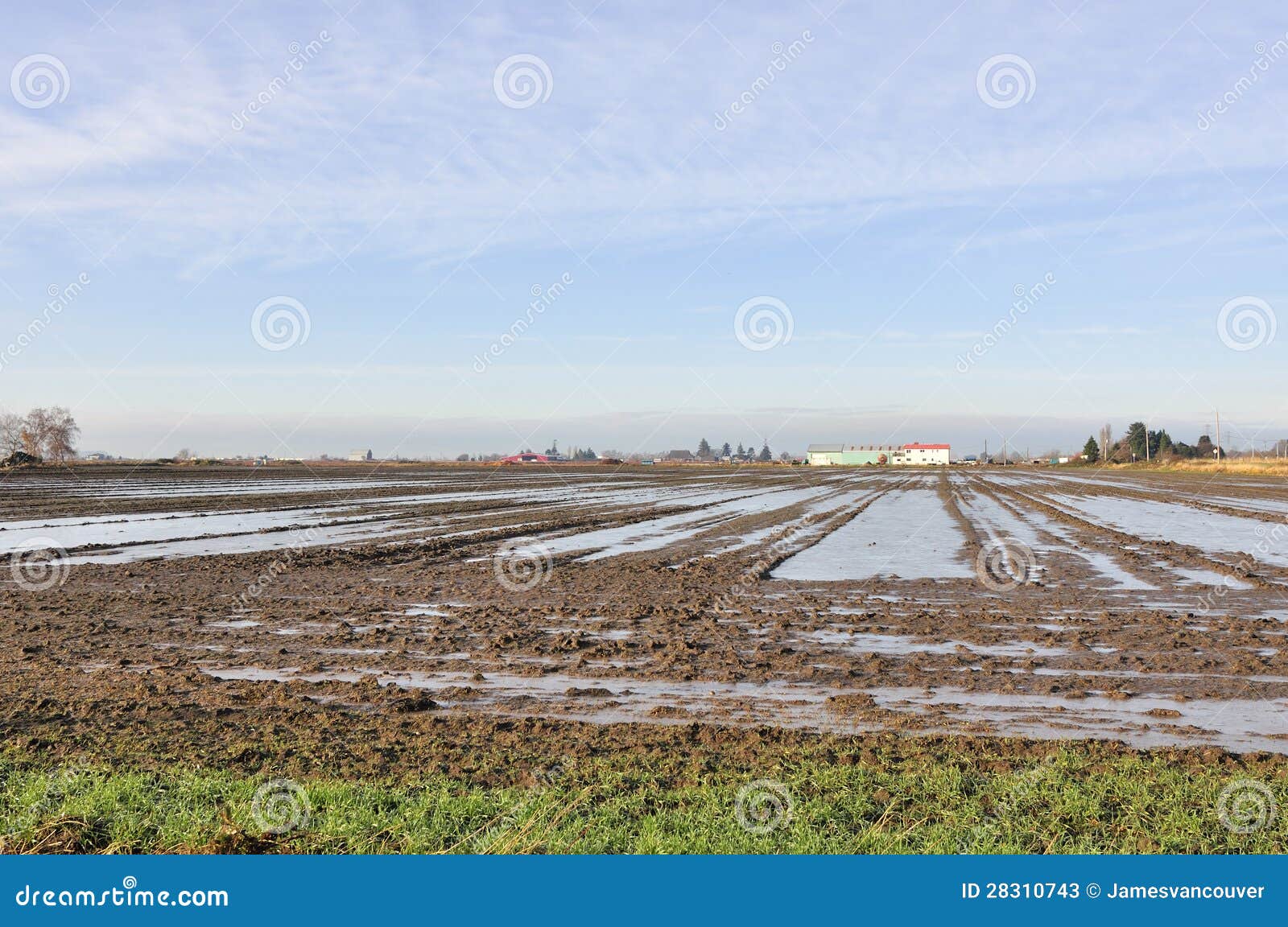 Icy farm field stock image. Image of canada, grass, white - 28310743