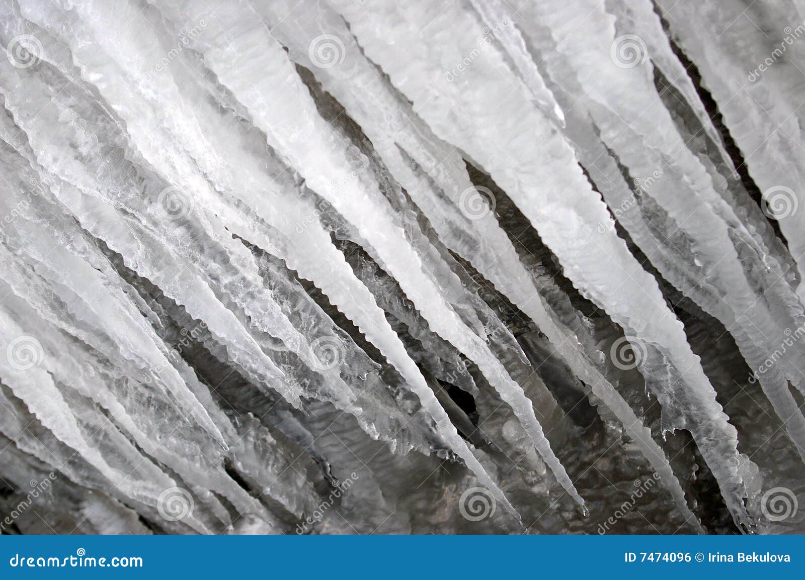 Icy icicles. stock photo. Image of freeze, icicle, gray - 7474096