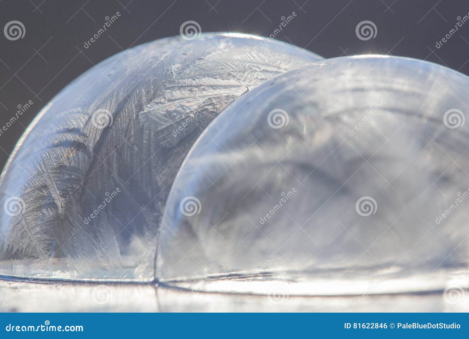 Icy Pair stock photo. Image of semicircle, bubbles, pair - 81622846
