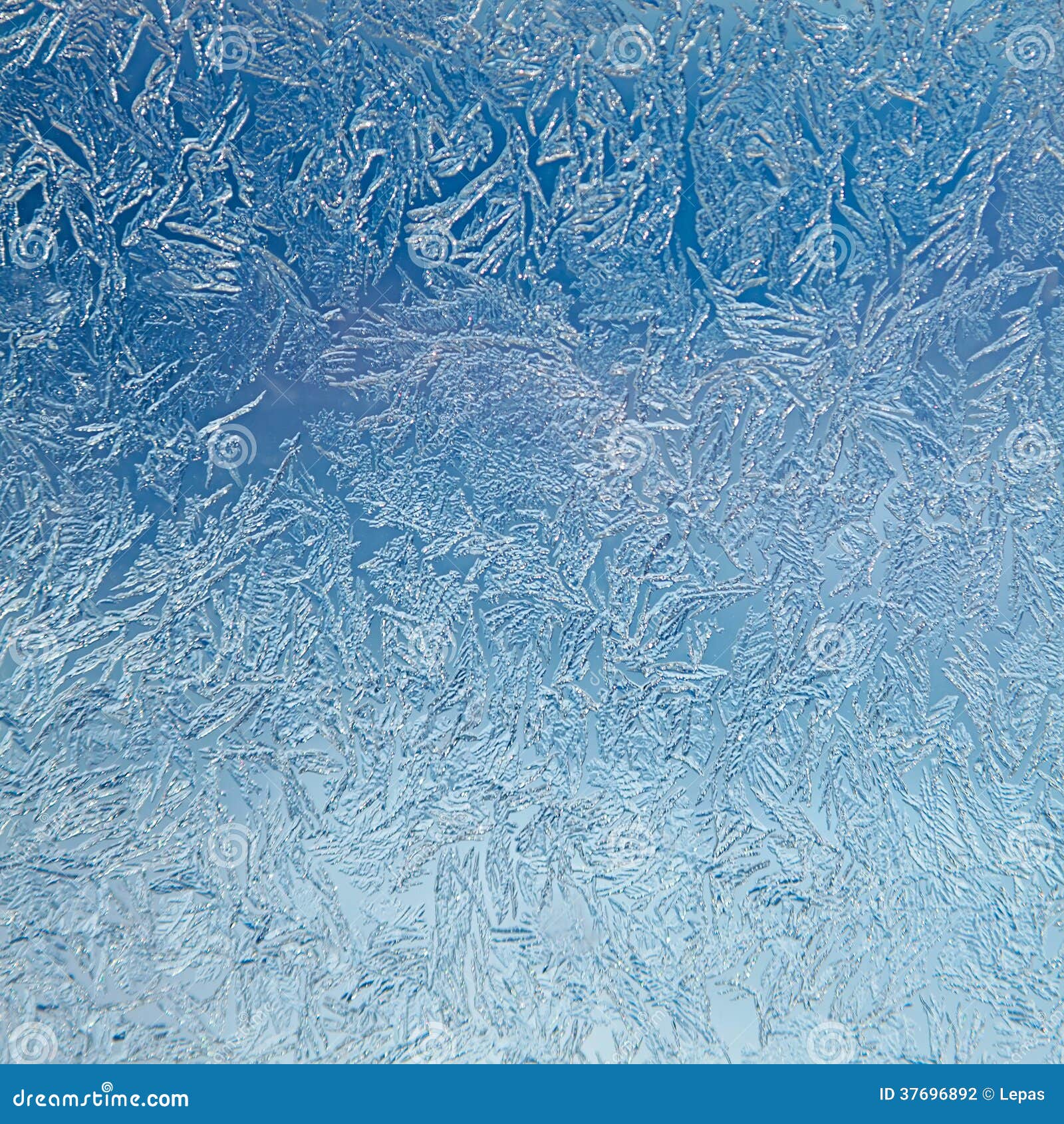 Icy pattern closeup stock photo. Image of cold, background - 37696892