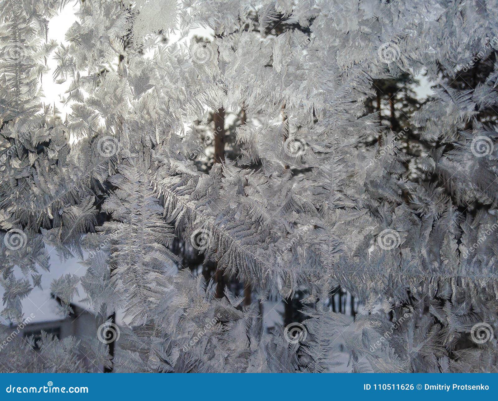 Icy Patterns on the Winter Glass. Fabulous Patterns Stock Photo - Image ...