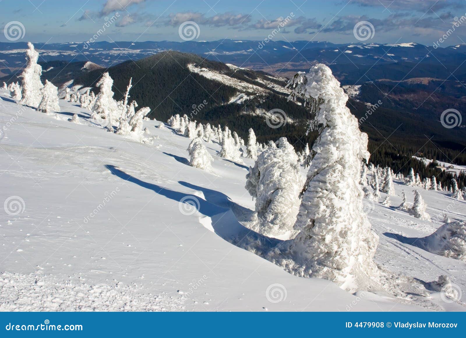 Icy Pine Trees Against Mountain Landscape Stock Photo - Image of scenic ...