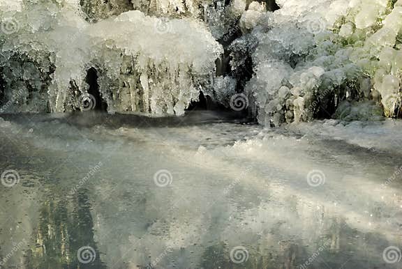 Icy Pond stock image. Image of natural, green, detail - 7913125