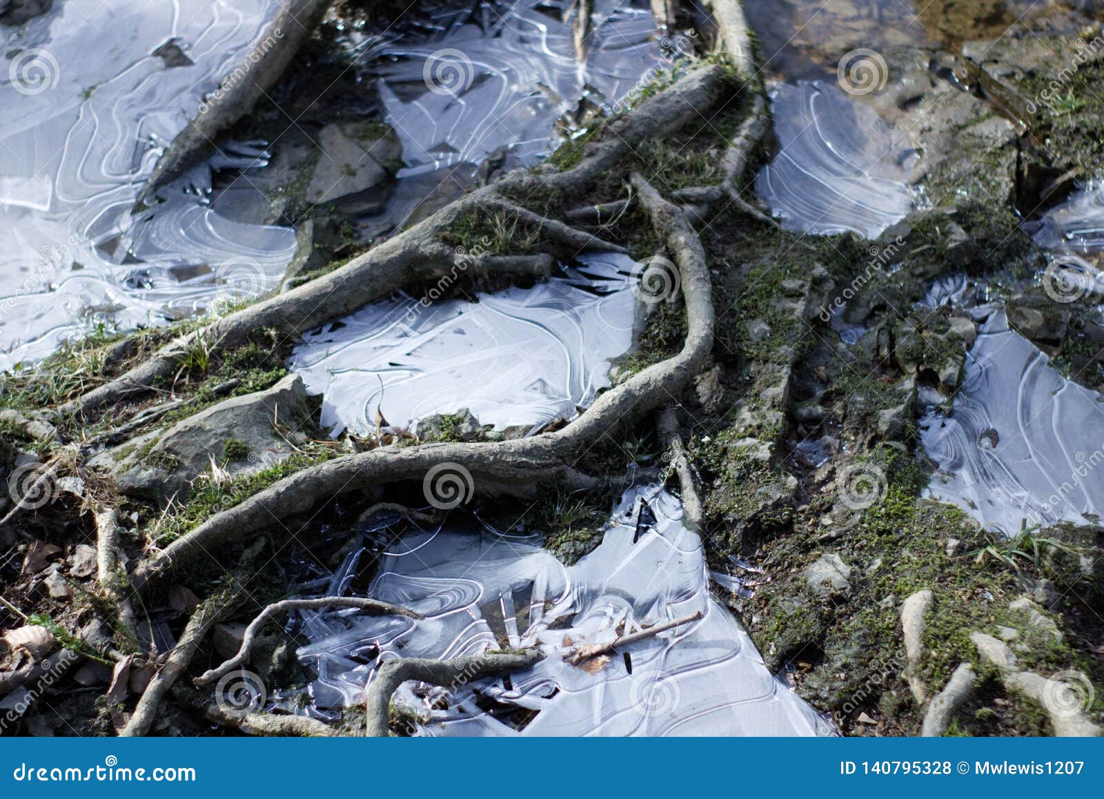 Icy puddles on the ground stock photo. Image of freezing - 140795328