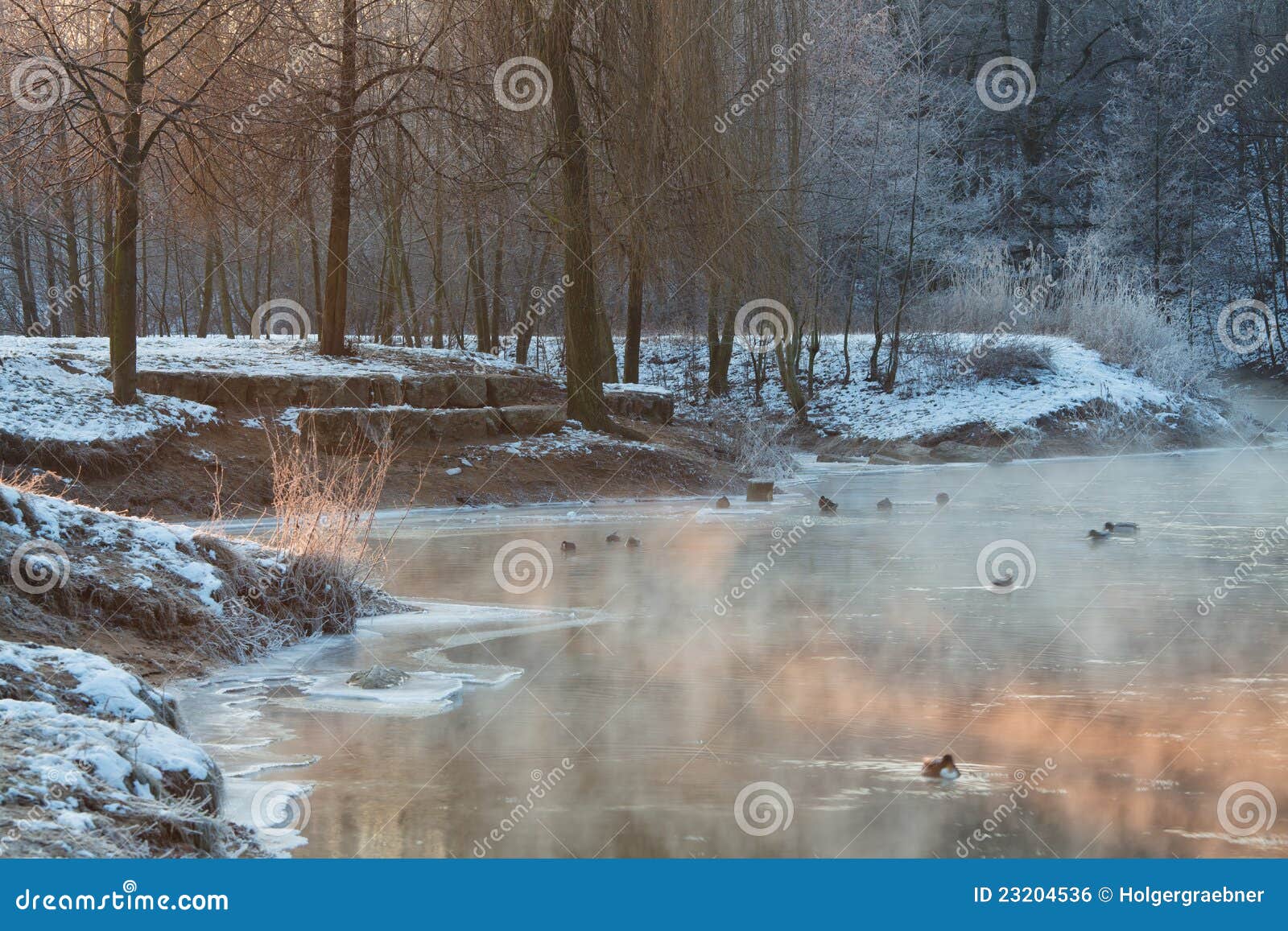 Icy river stock photo. Image of cold, morning, forest - 23204536