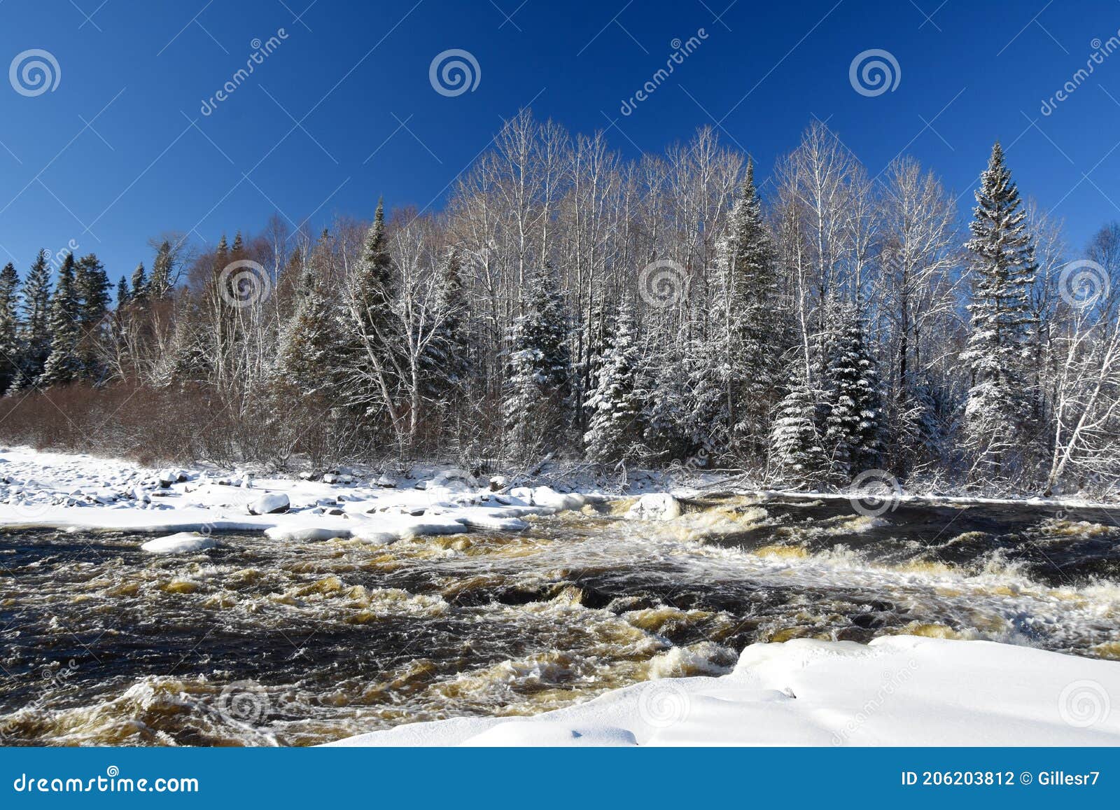 Icy River in the Canadian Winters in Quebec Stock Photo - Image of park ...