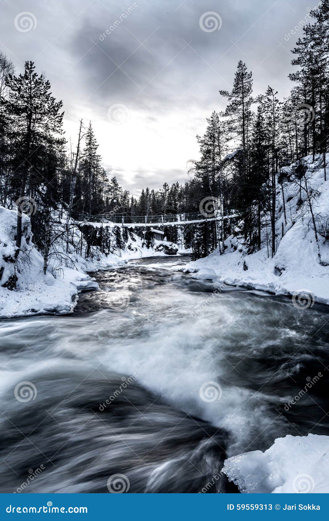 Icy river stock image. Image of cold, bright, dark, forest - 59559313